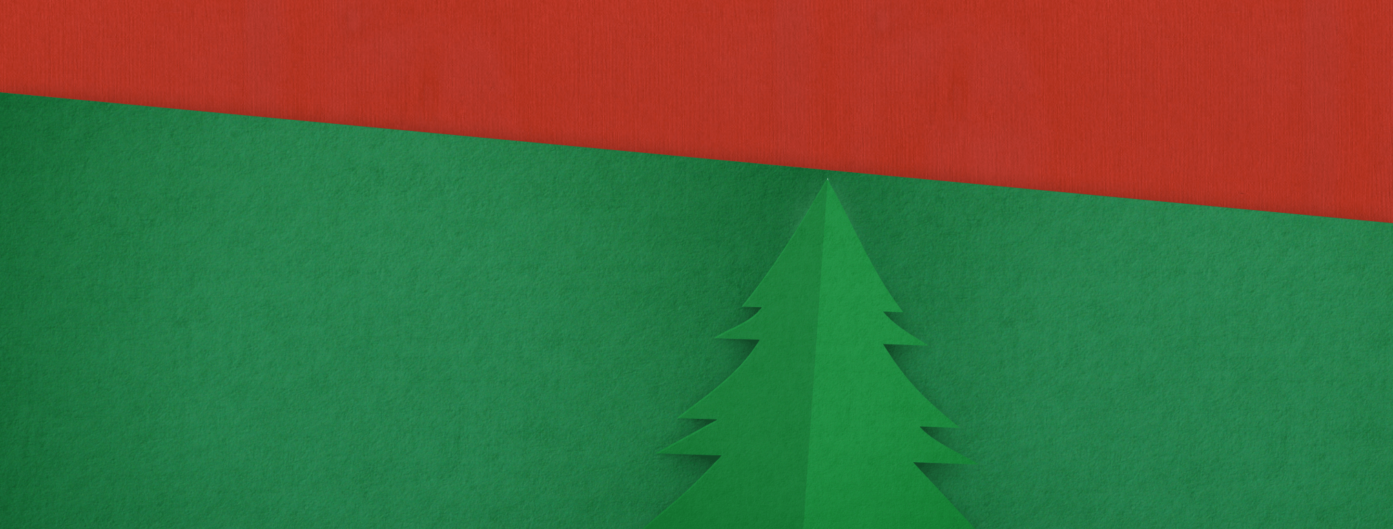 Proko - Back Anatomy (Male) - Photo Reference pack