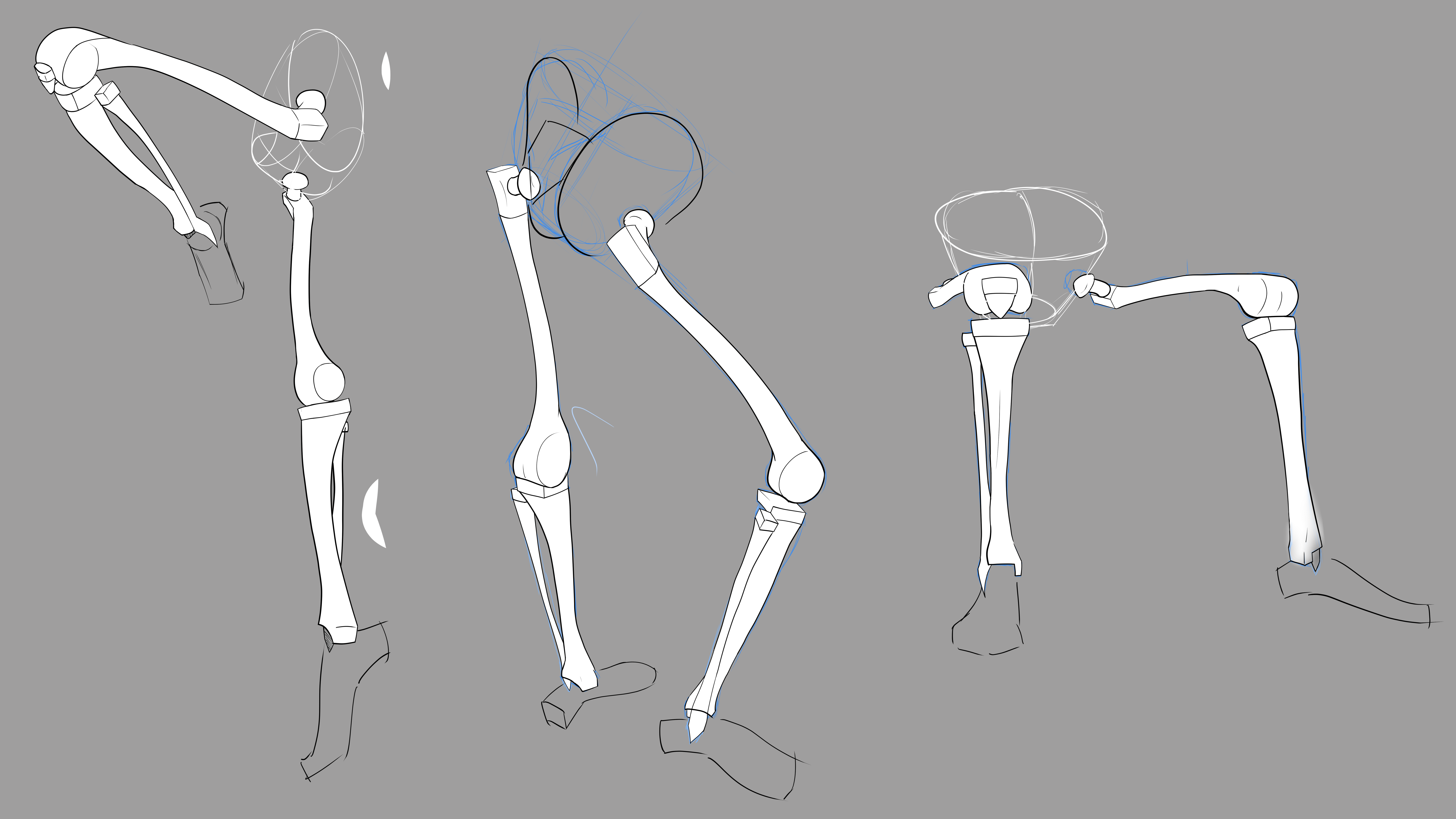 Human Leg Drawing