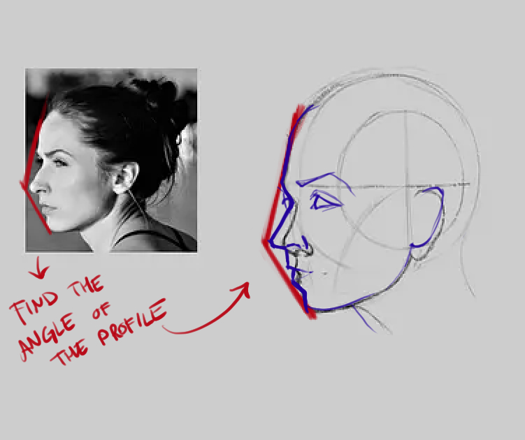 Profile Angle