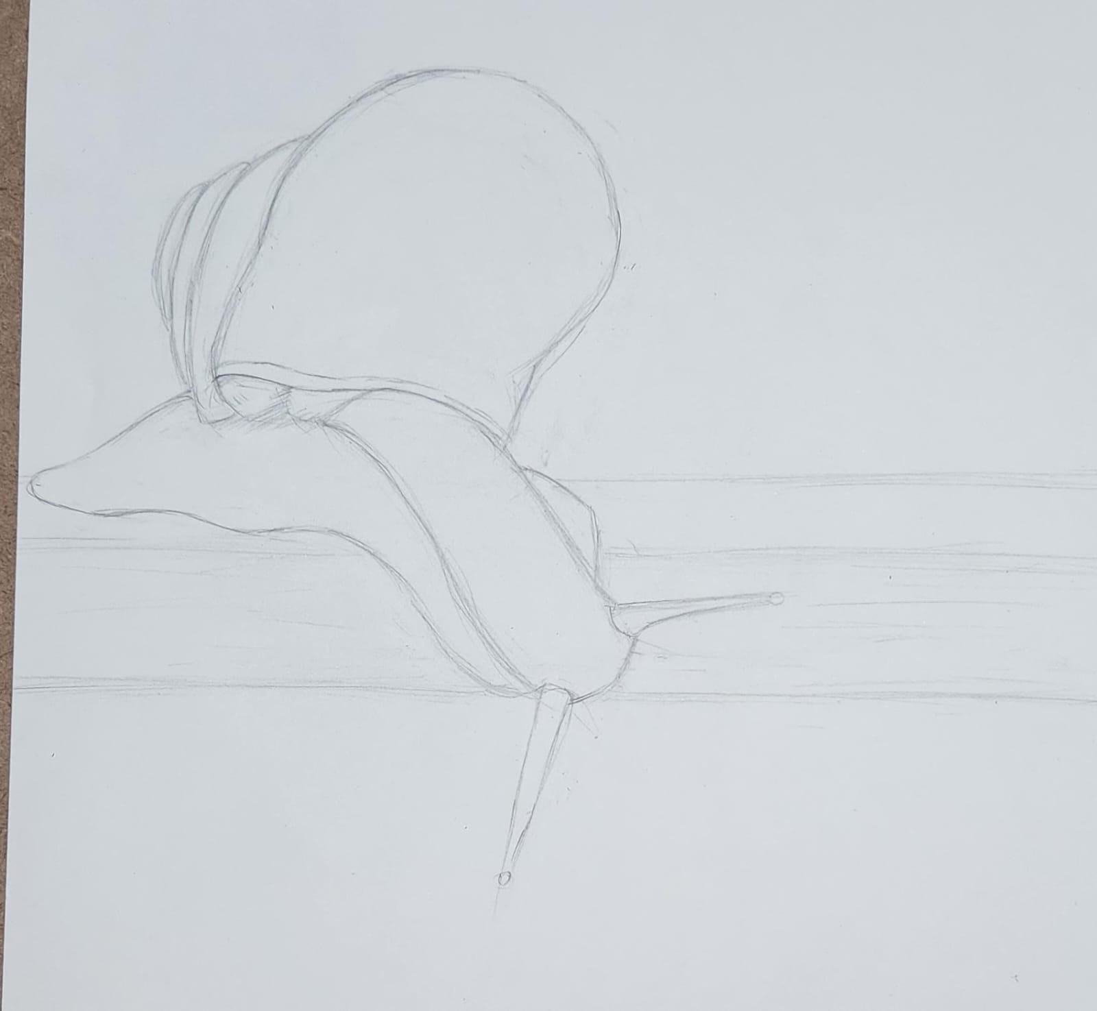 Proko - SNAIL CRITIQUE