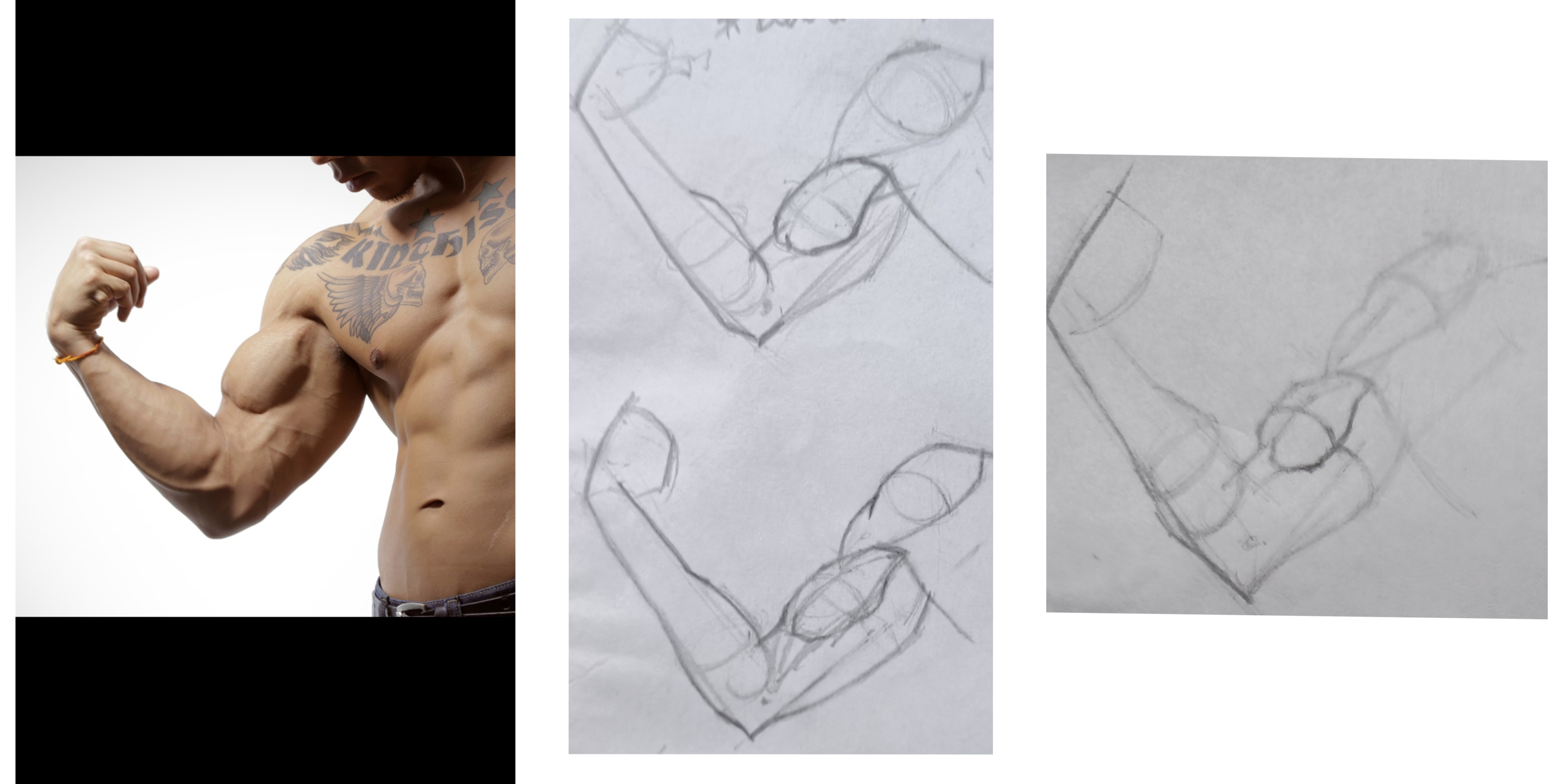 Proko - Biceps assignment Please can anyone critique