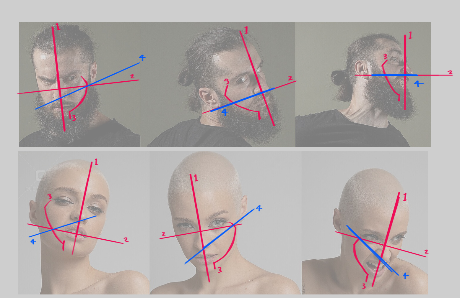 Proko - Bridgman's 4 line head problem!
