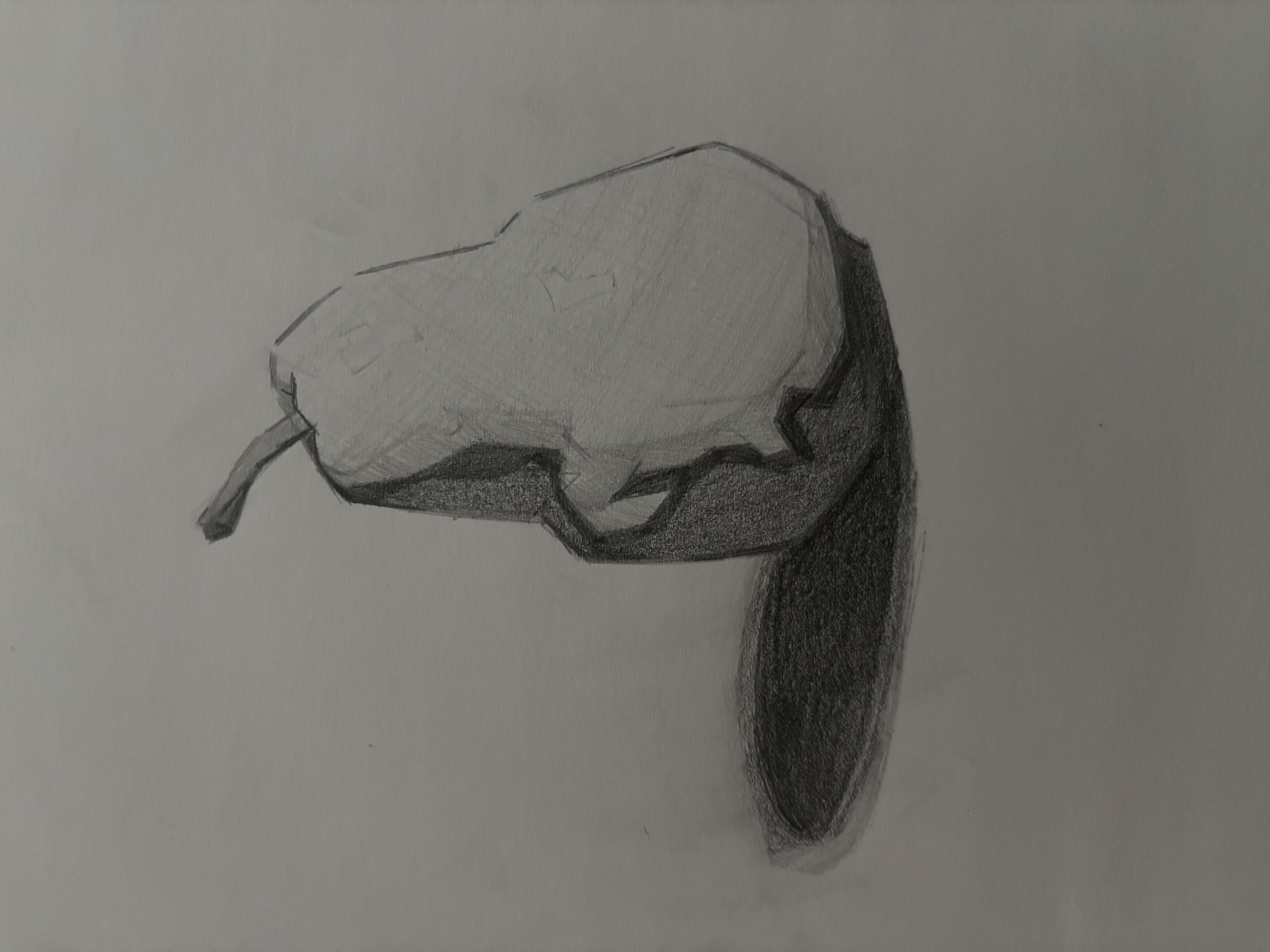 Proko - First Pear drawing!