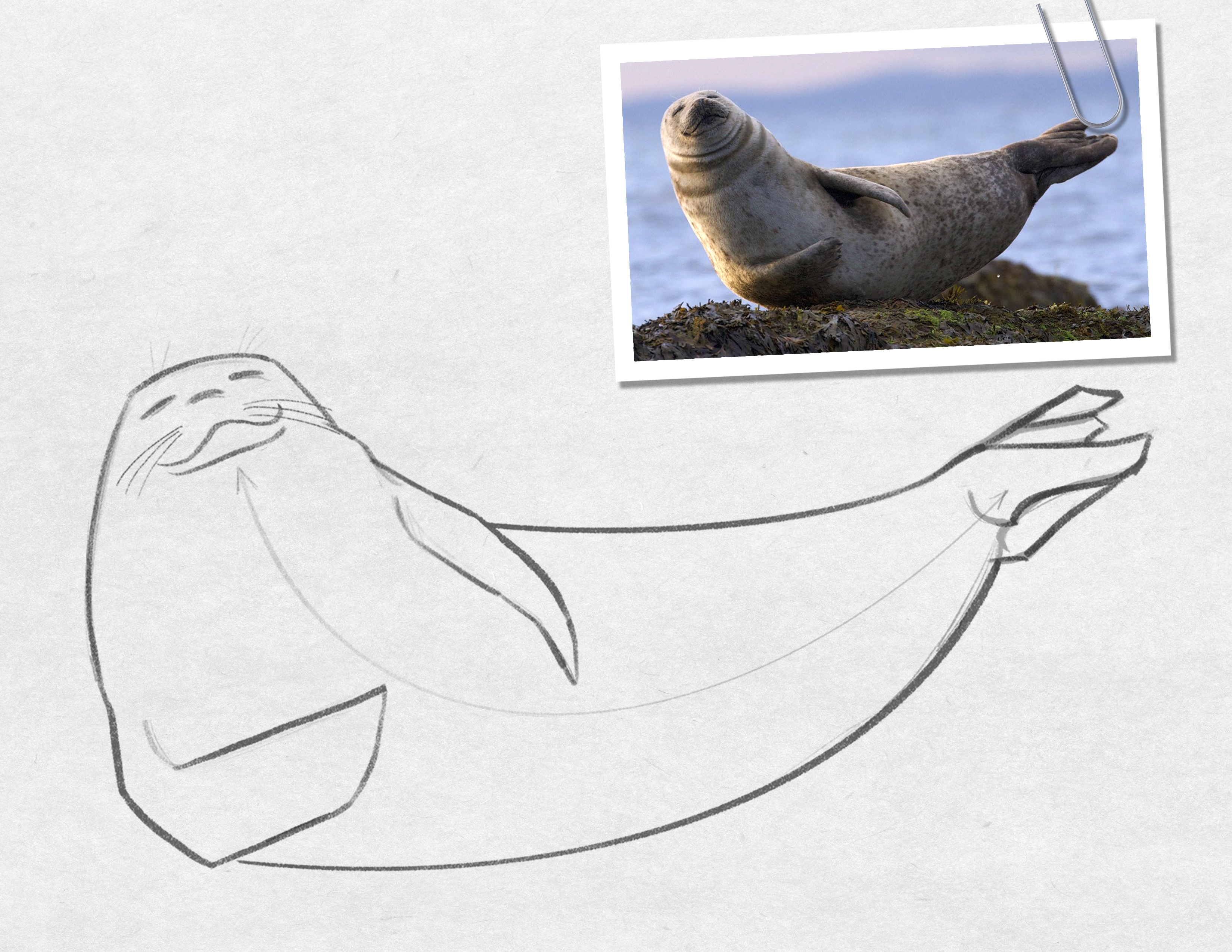 Earless Bunny Stepped On