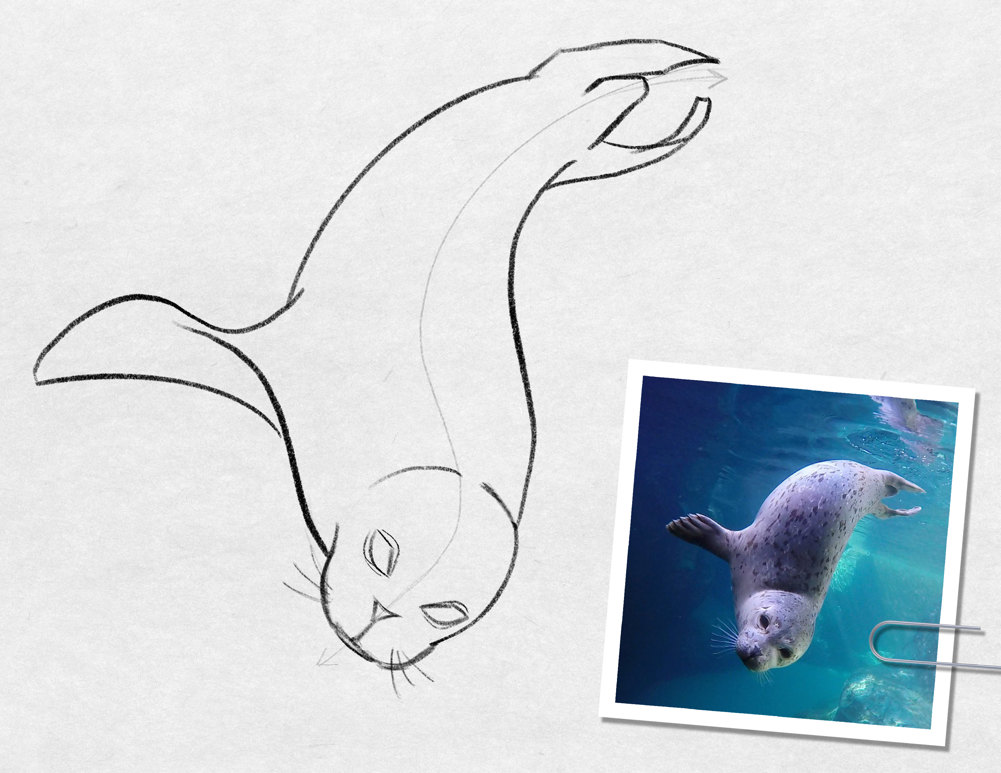 Earless Bunny Stepped On