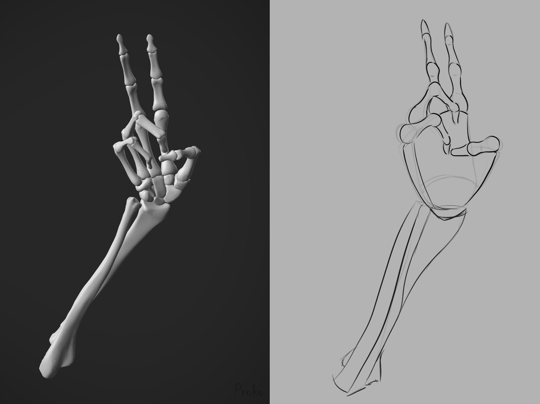 Bone Praying Hands