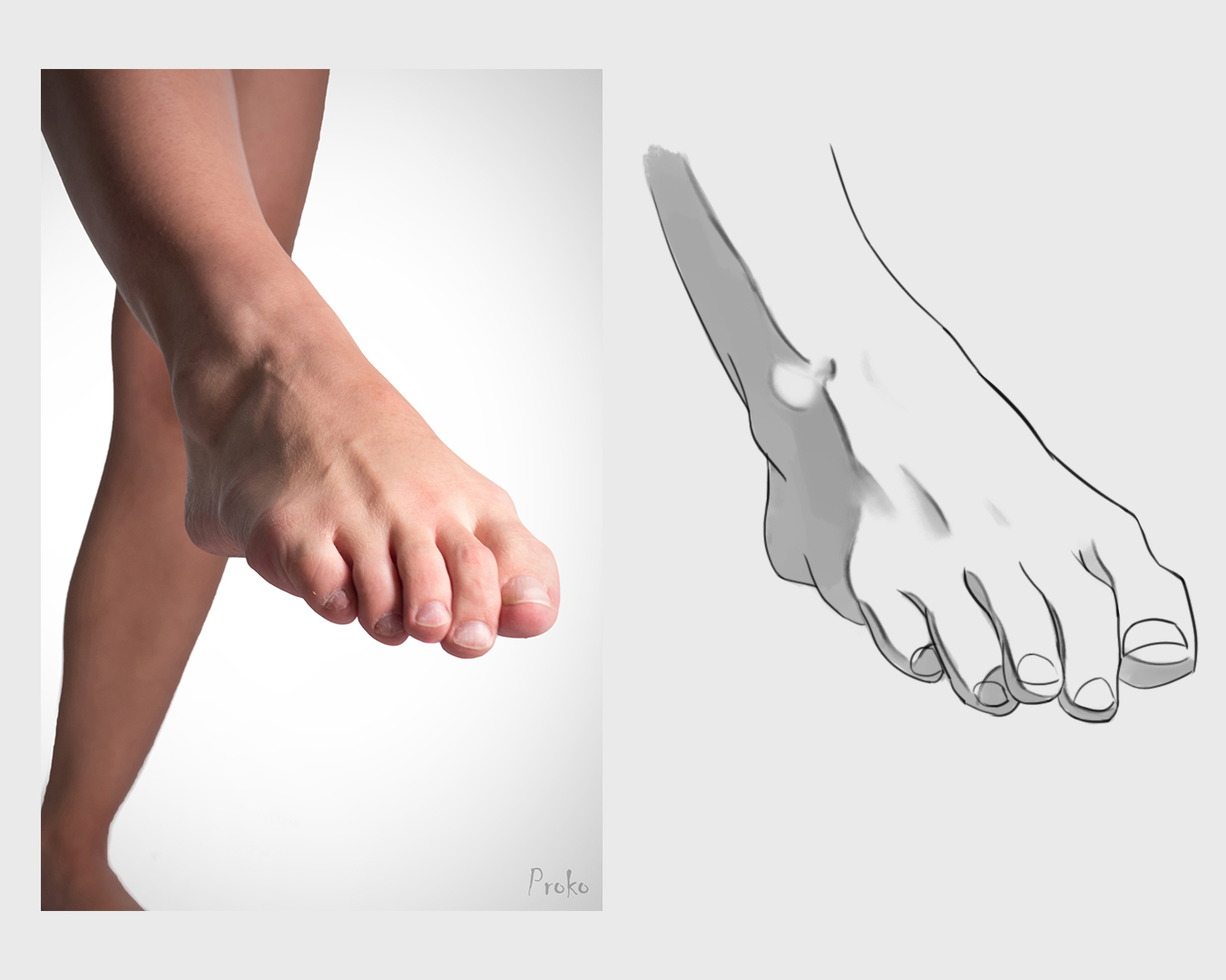 Foot Art Reference