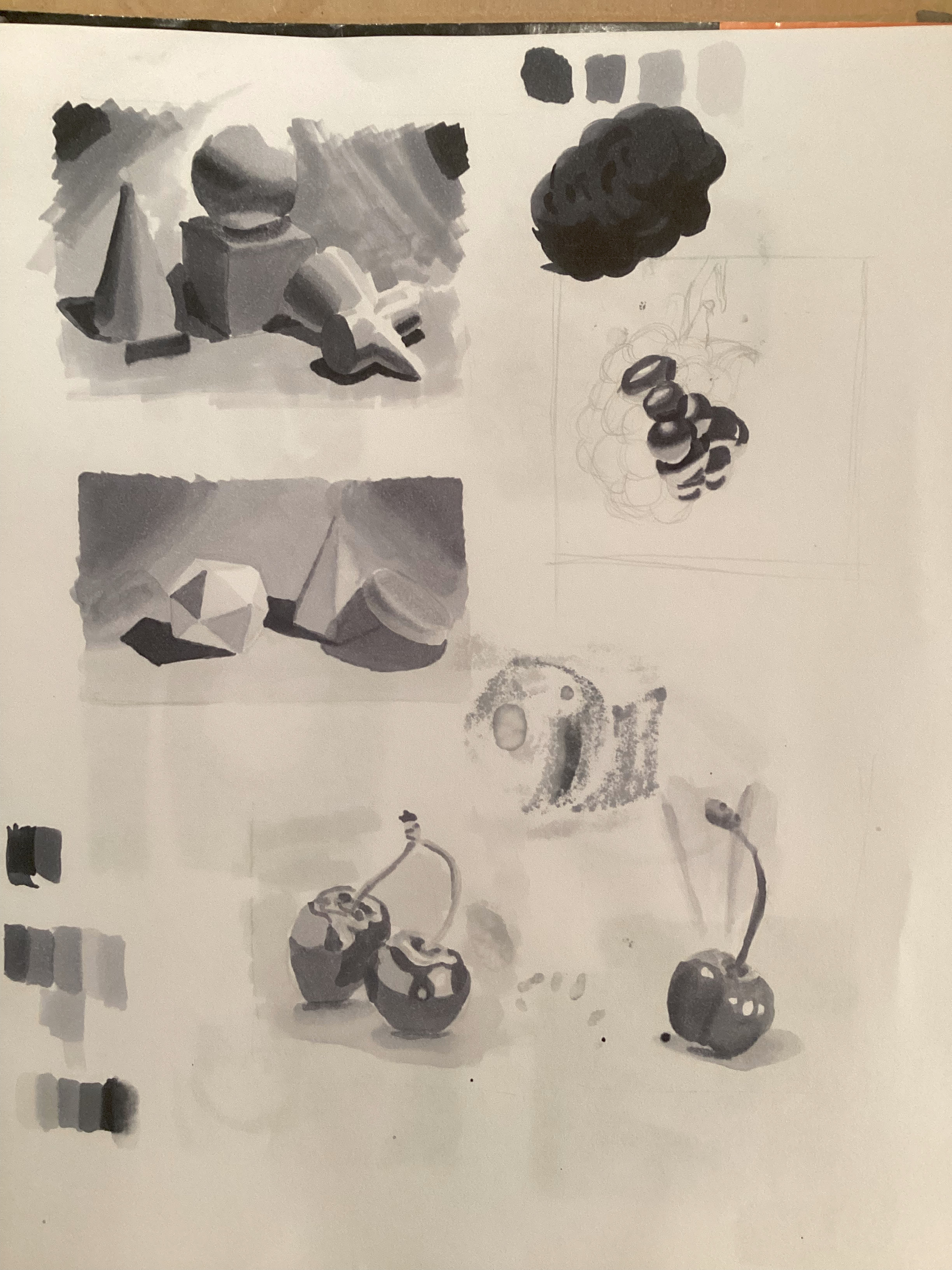 Proko - 5 Value Studies/Portrait