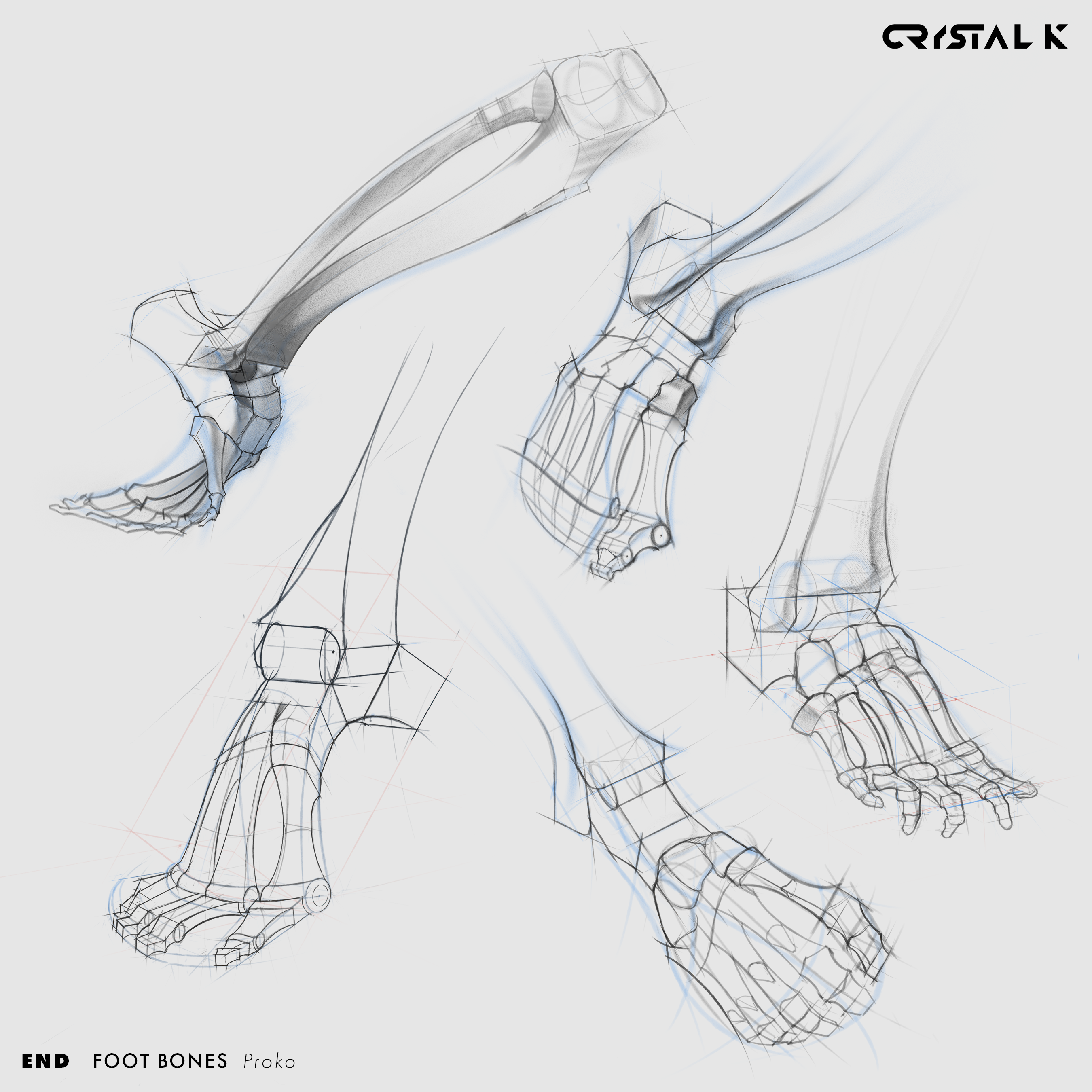 Simple Skeleton Foot Drawing