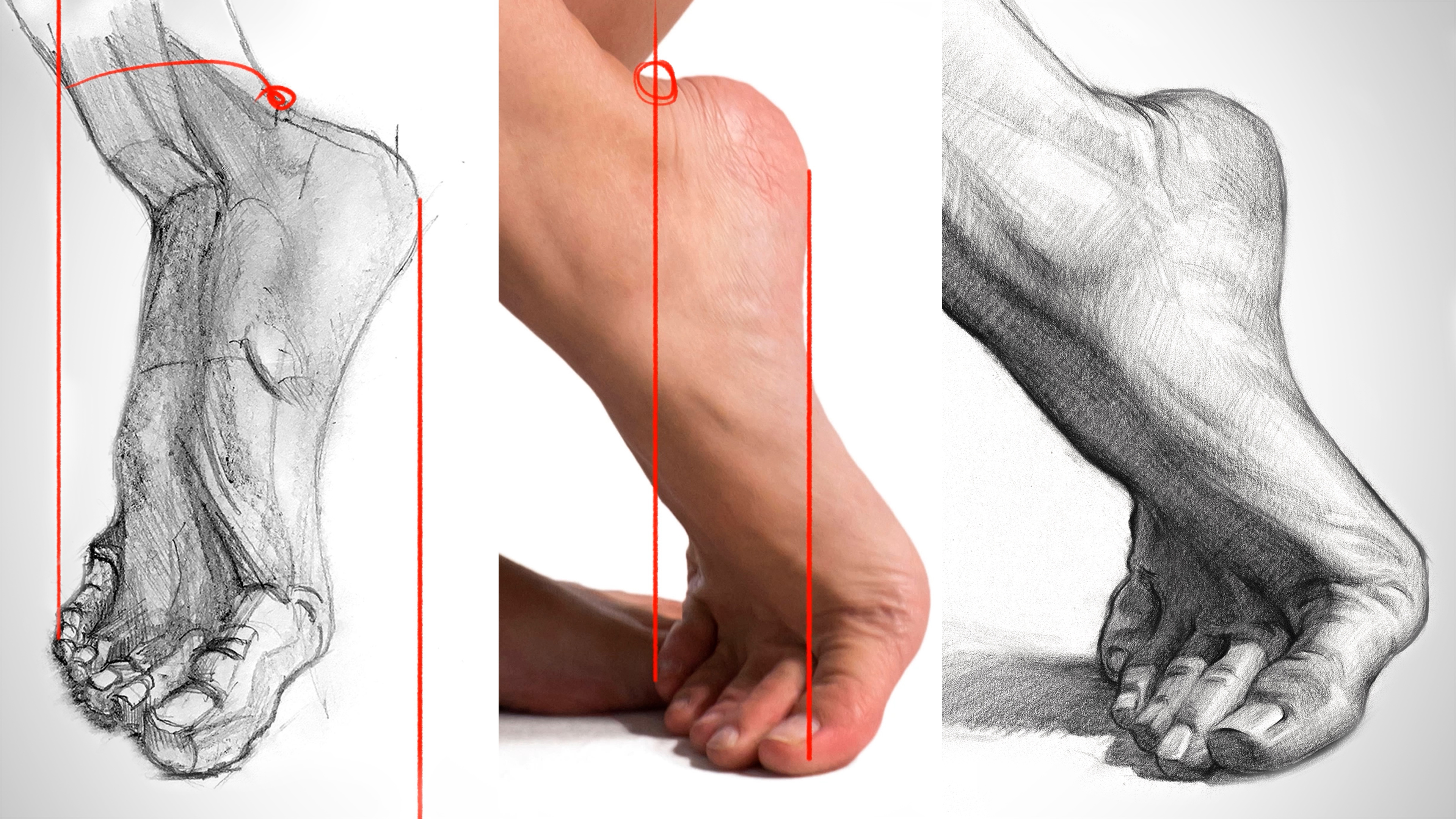 Proko - Anatomy Critiques – The Feet