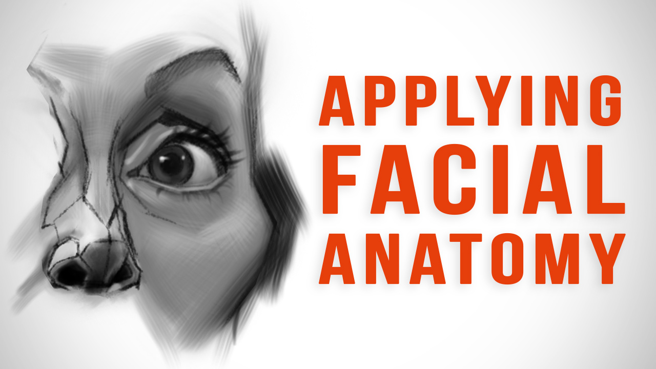 Proko - Applying Facial Anatomy to Caricature