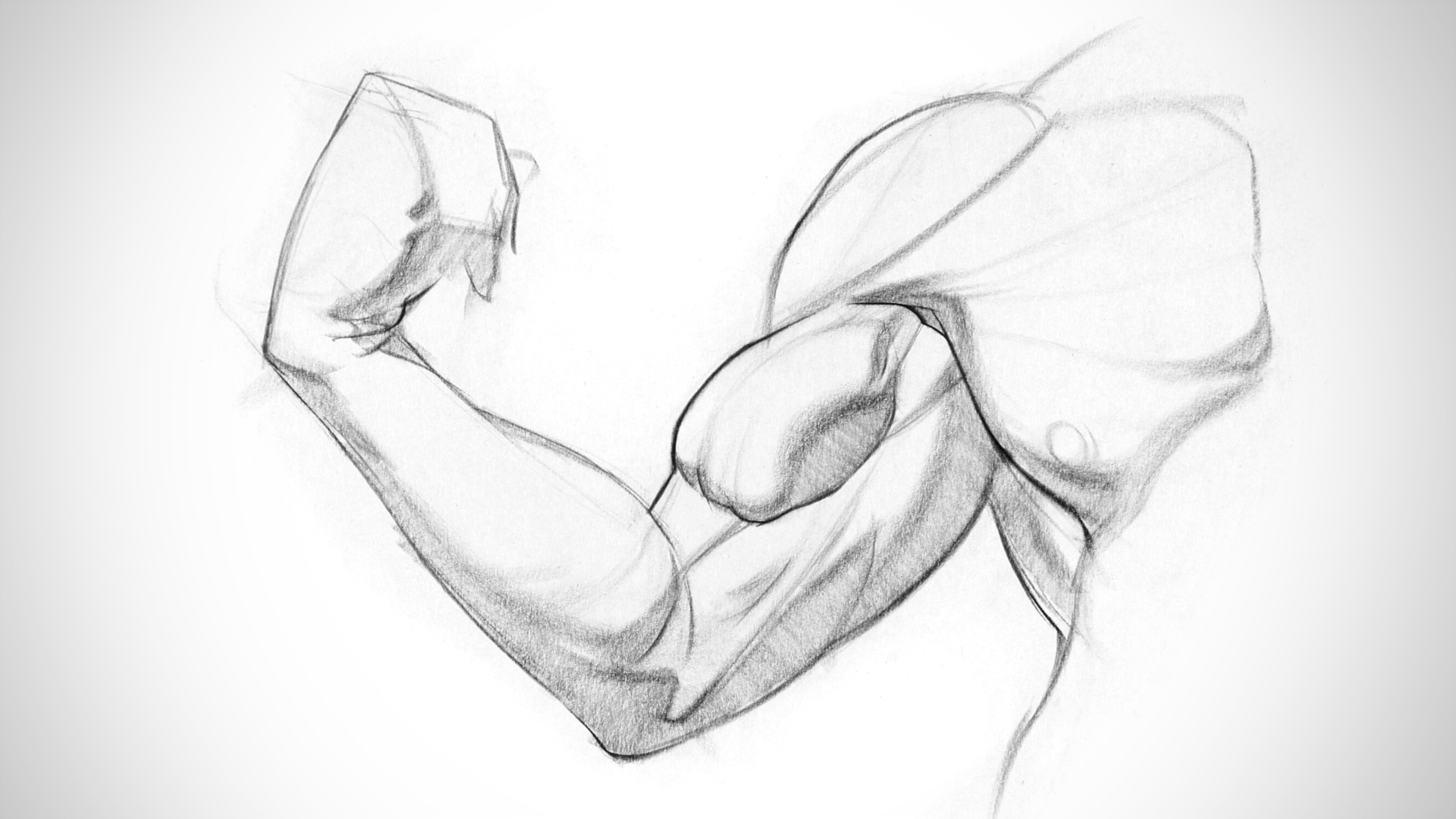 Proko - Biceps Assignment Example 2