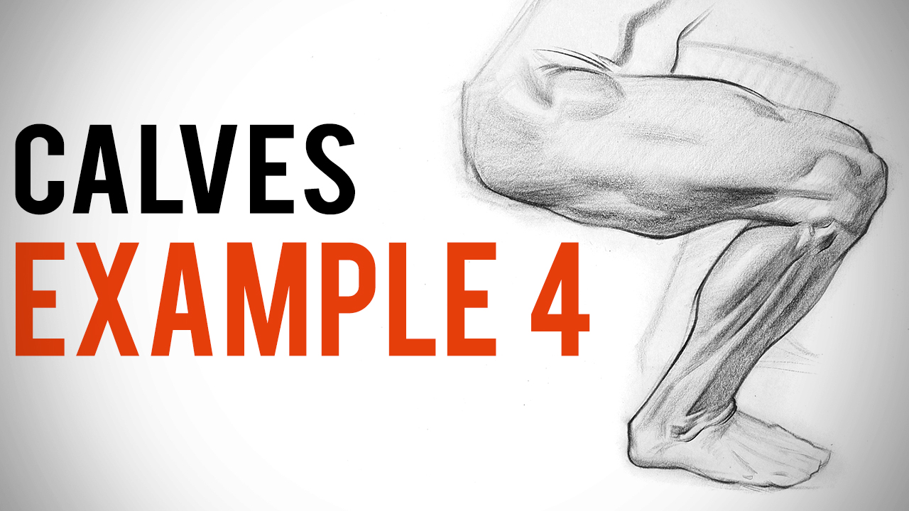 Proko - Calf Assignment Example 4