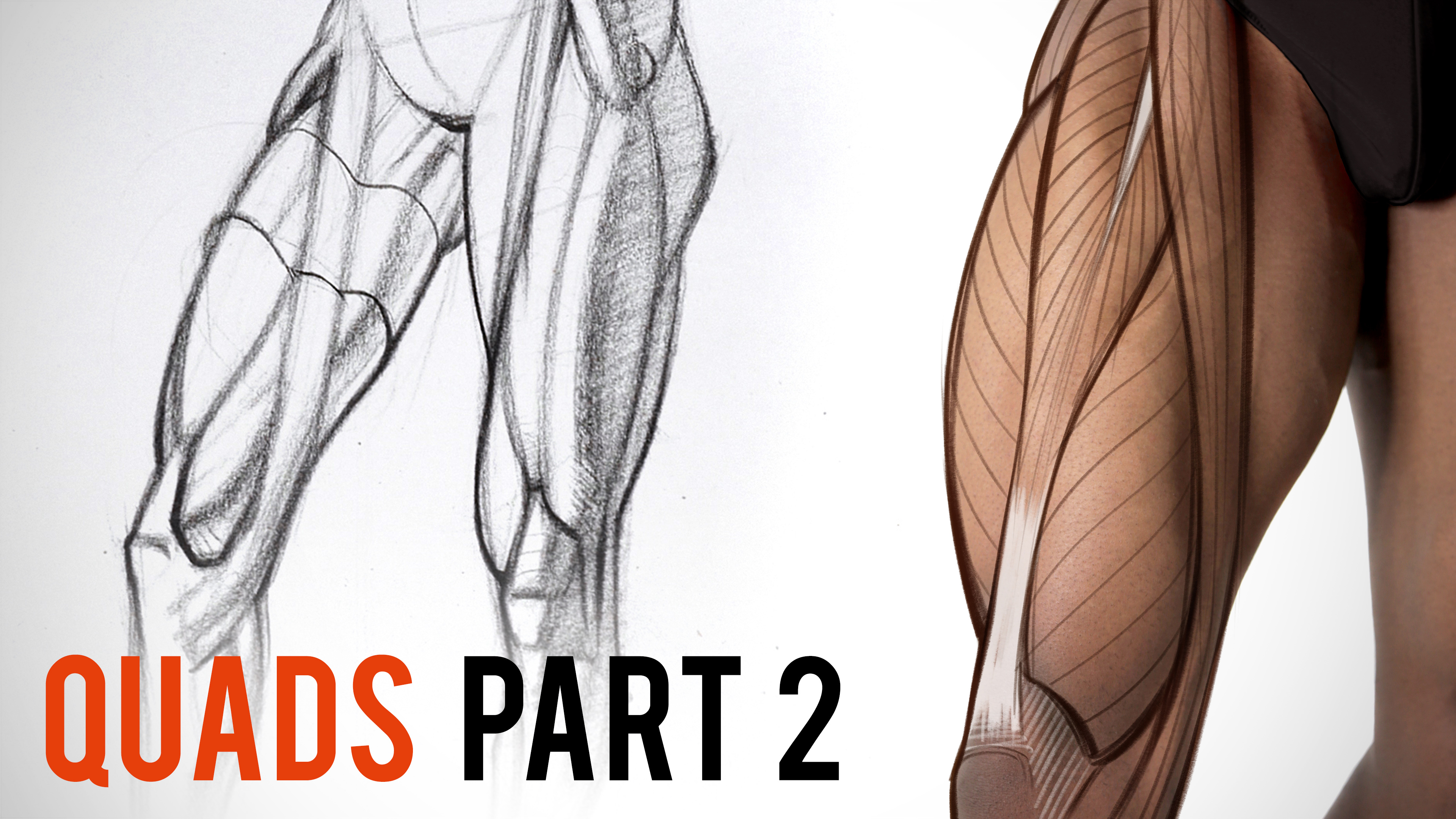 Proko - Drawing Quads Like a Pro