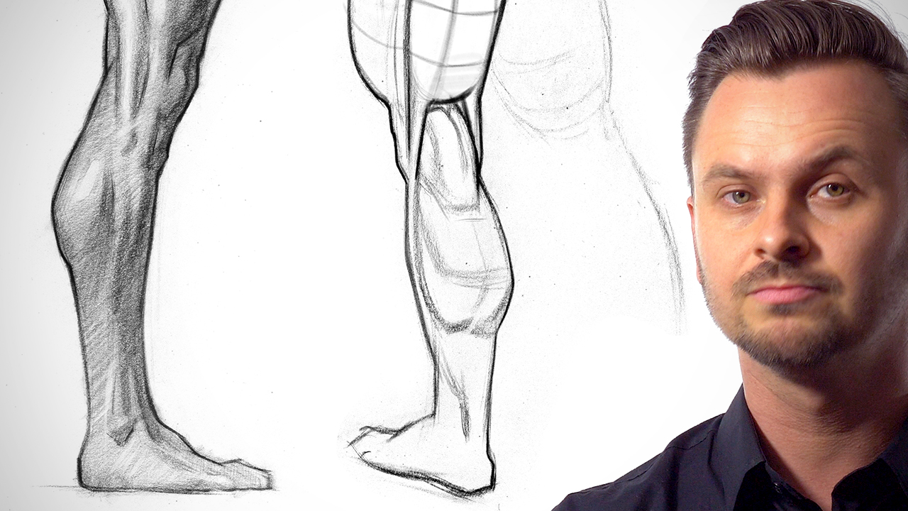 Proko - Drawing the Calf Muscles like a Pro