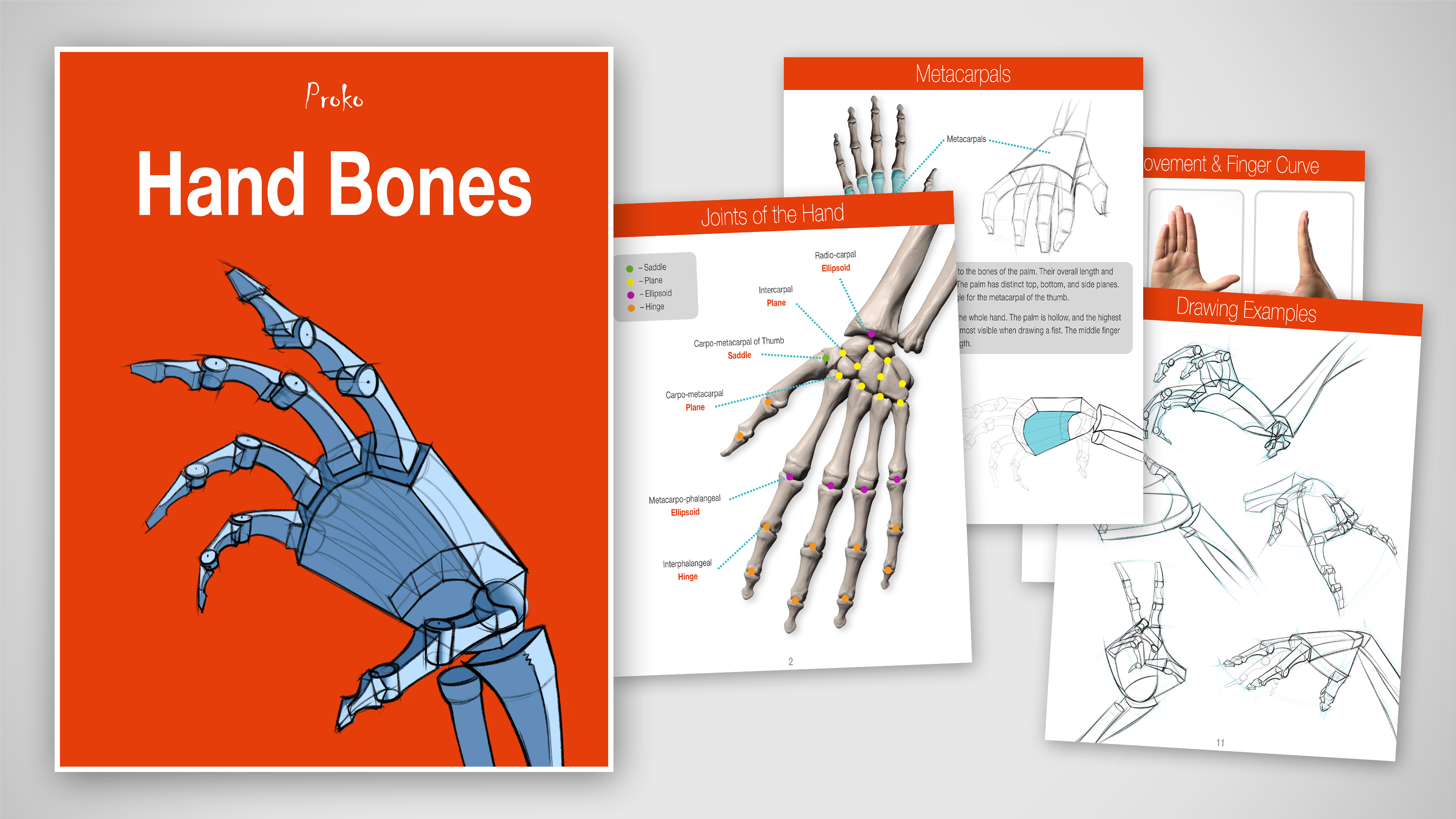 Proko - eBook: The Hand Bones
