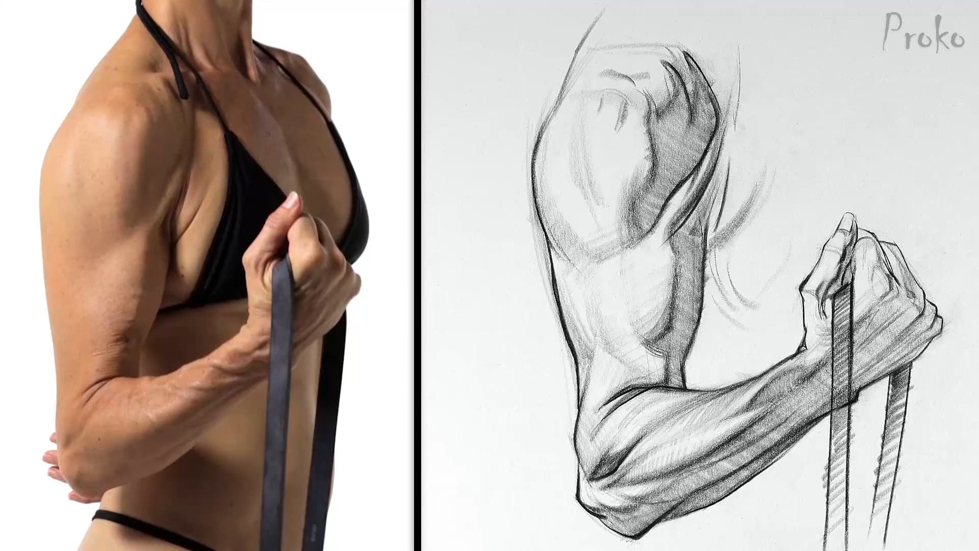 Proko - Forearm Assignment Example 2