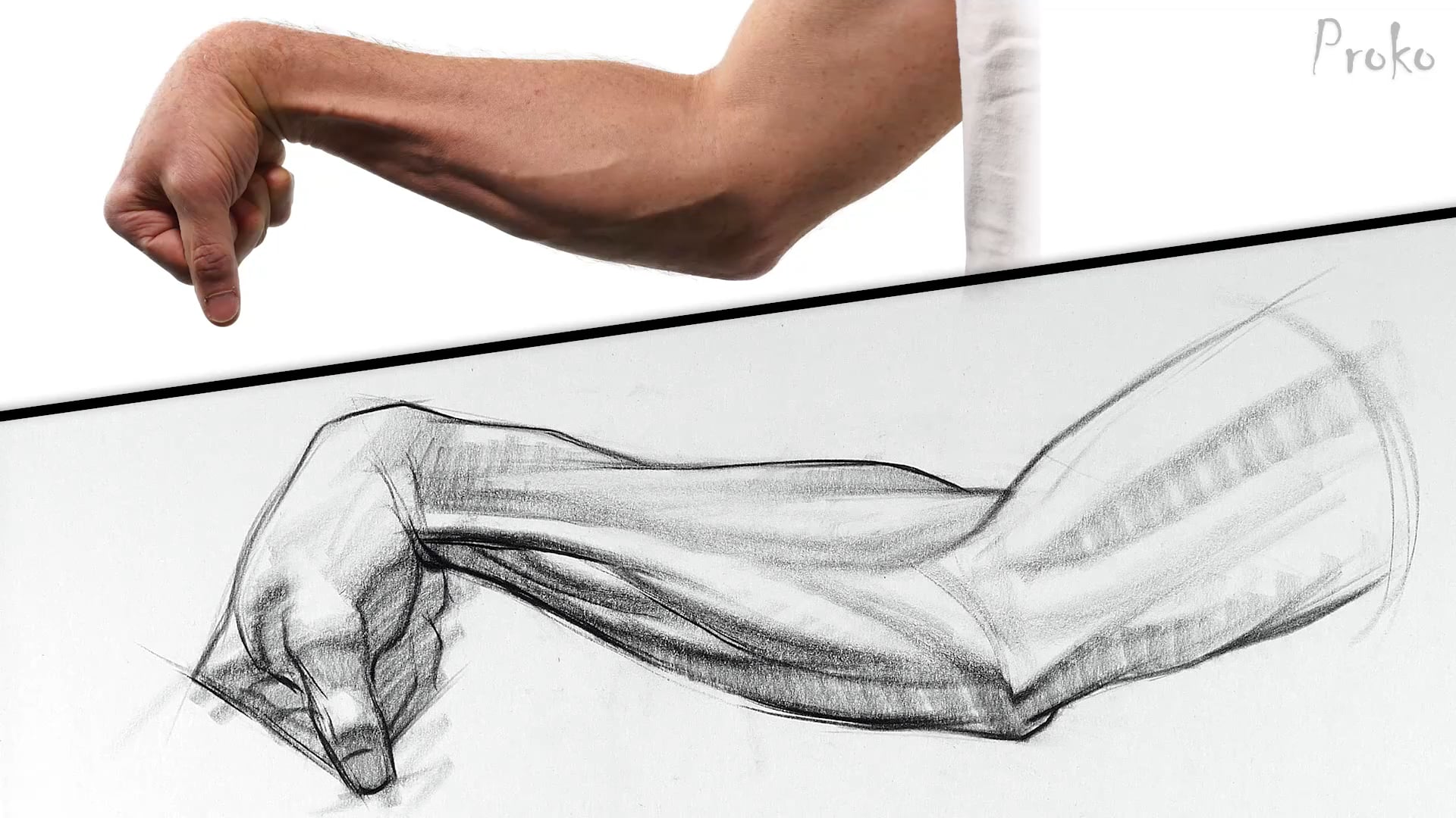 Proko - Forearm Assignment Example 3