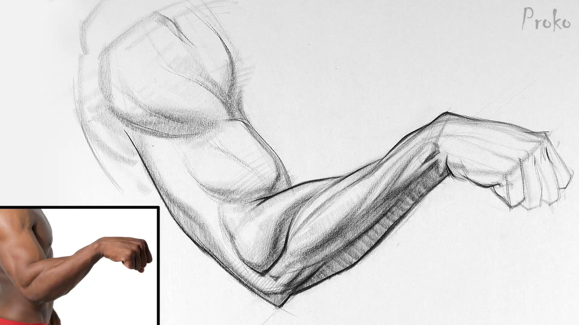 Proko - Forearm Assignment Example 4