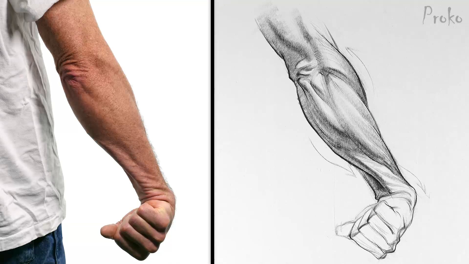 Proko - Forearm Assignment Example 5