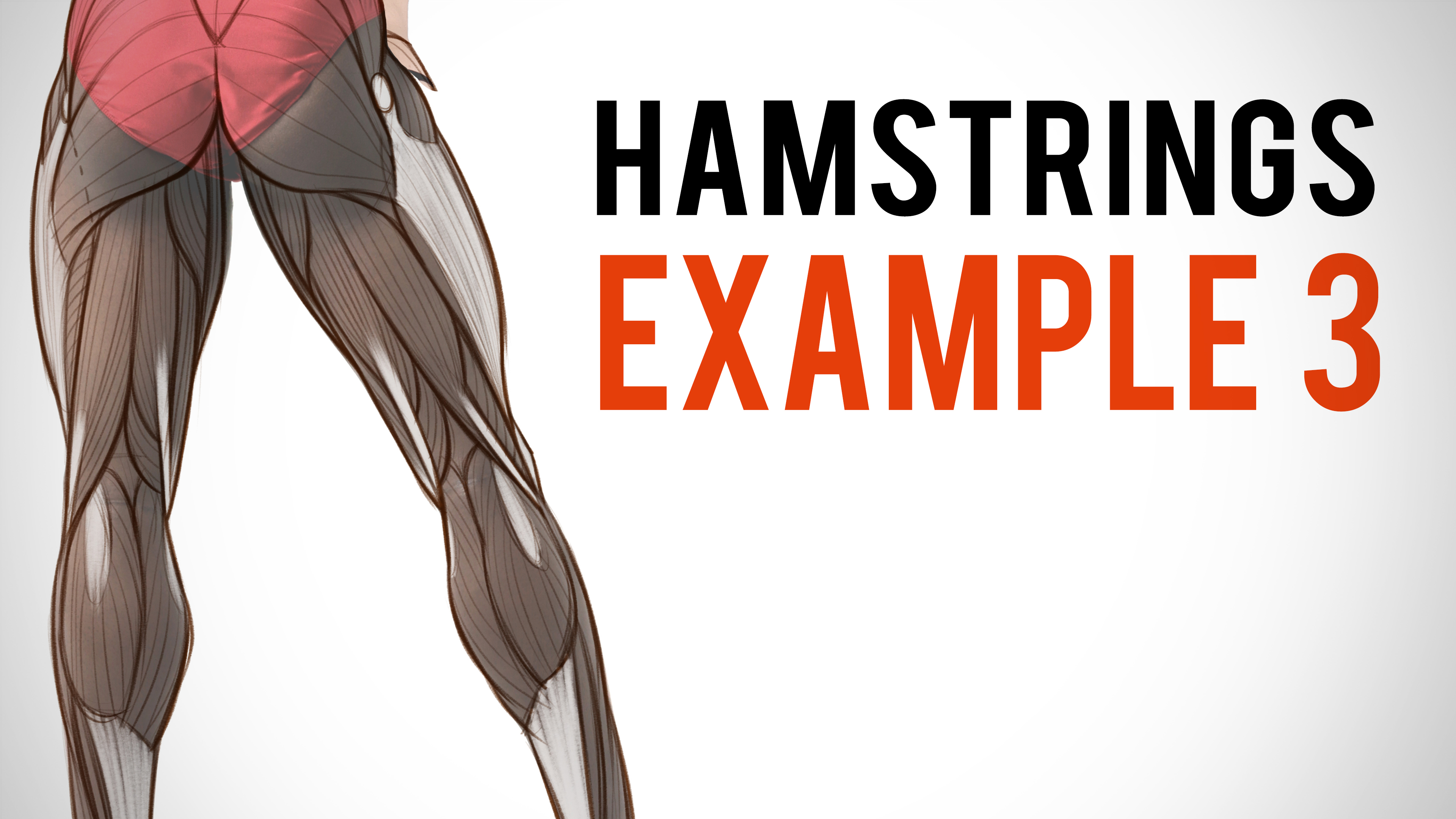 Proko - Hamstrings Muscle Assignment Example 3