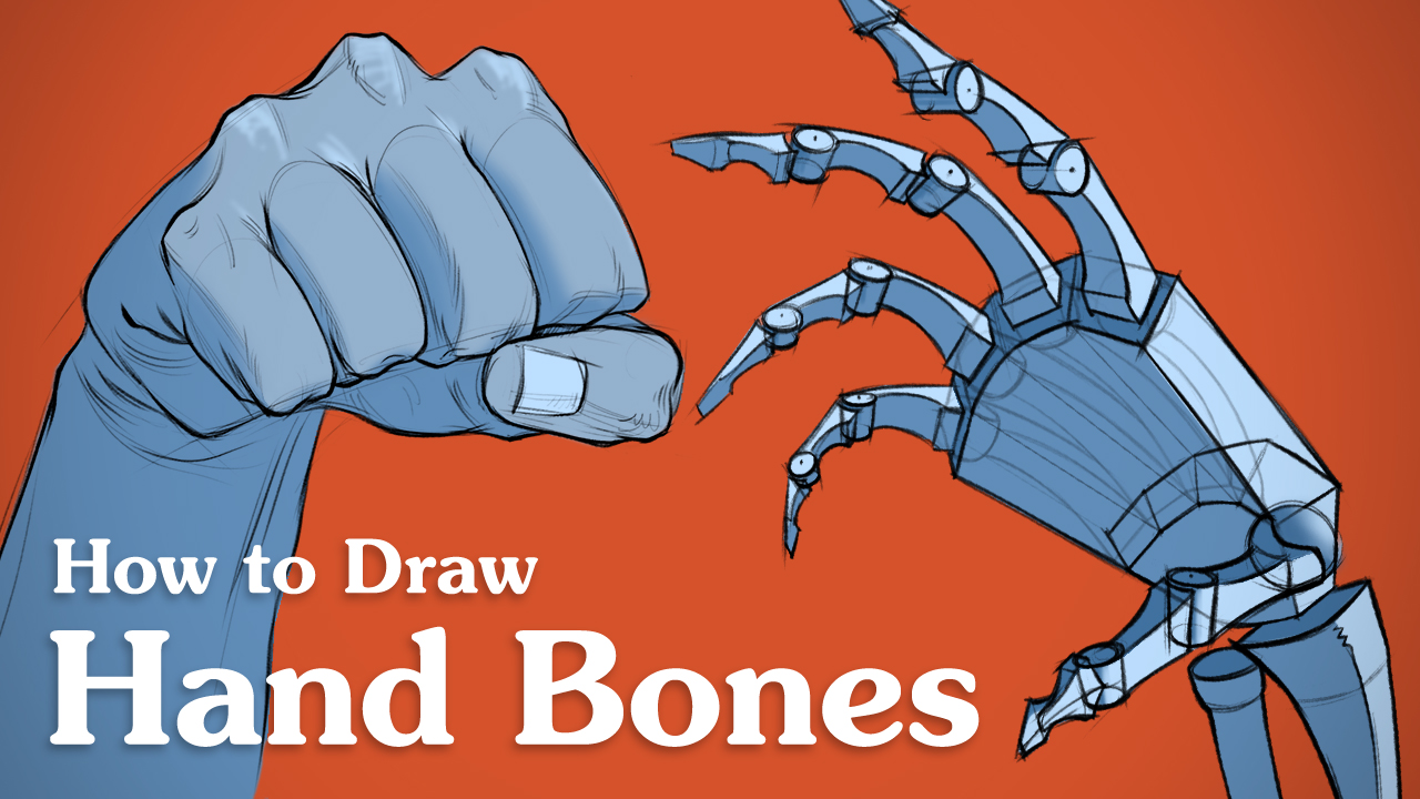 Proko How To Draw Hand Bones Anatomy For Artists