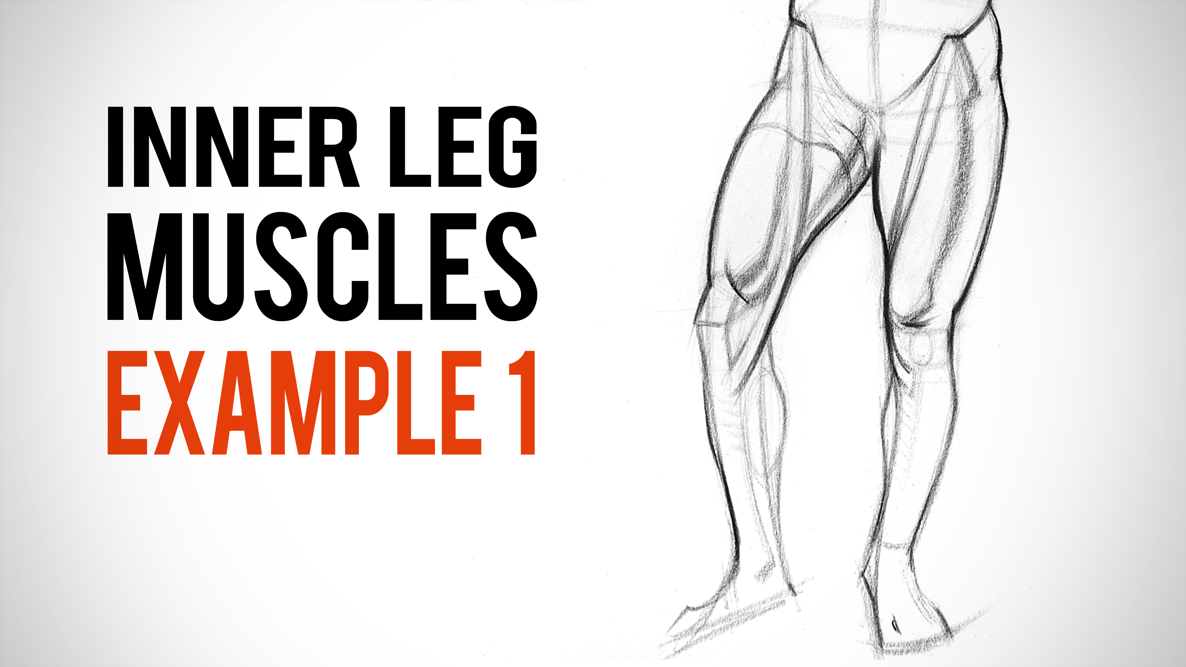 Proko - Inner Leg Muscles Assignment Answer 1
