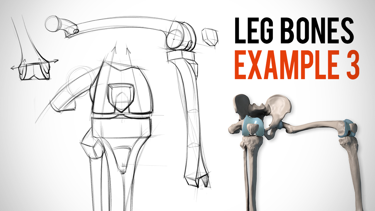 Proko - Leg Bones Assignment Example 3