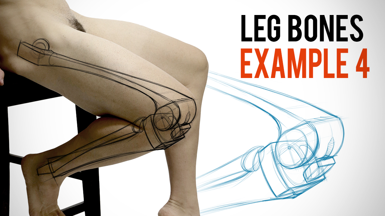 Proko - Leg Bones Assignment Example 4