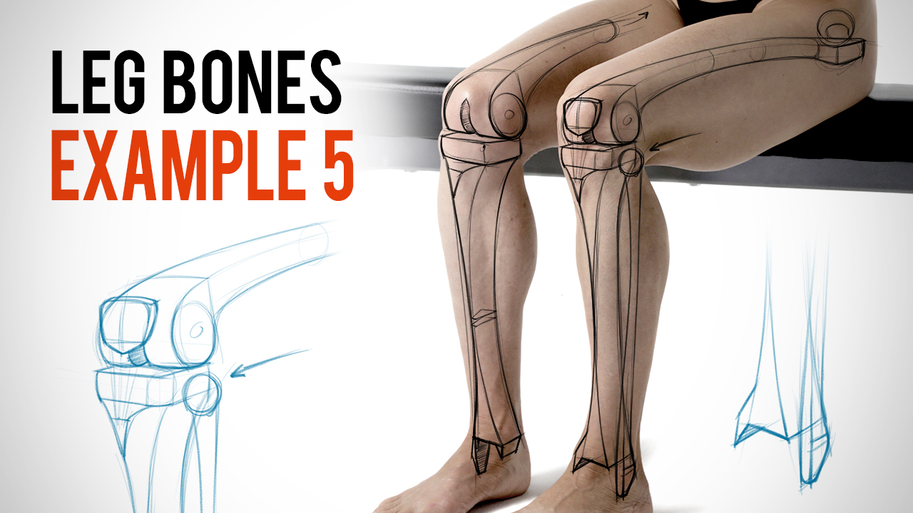 Proko - Leg Bones Assignment Example 5