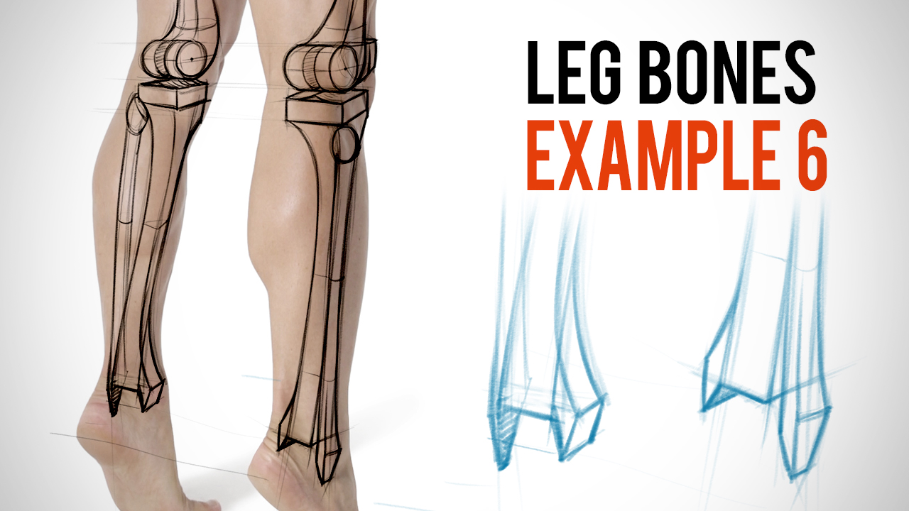 Proko - Leg Bones Assignment Example 6