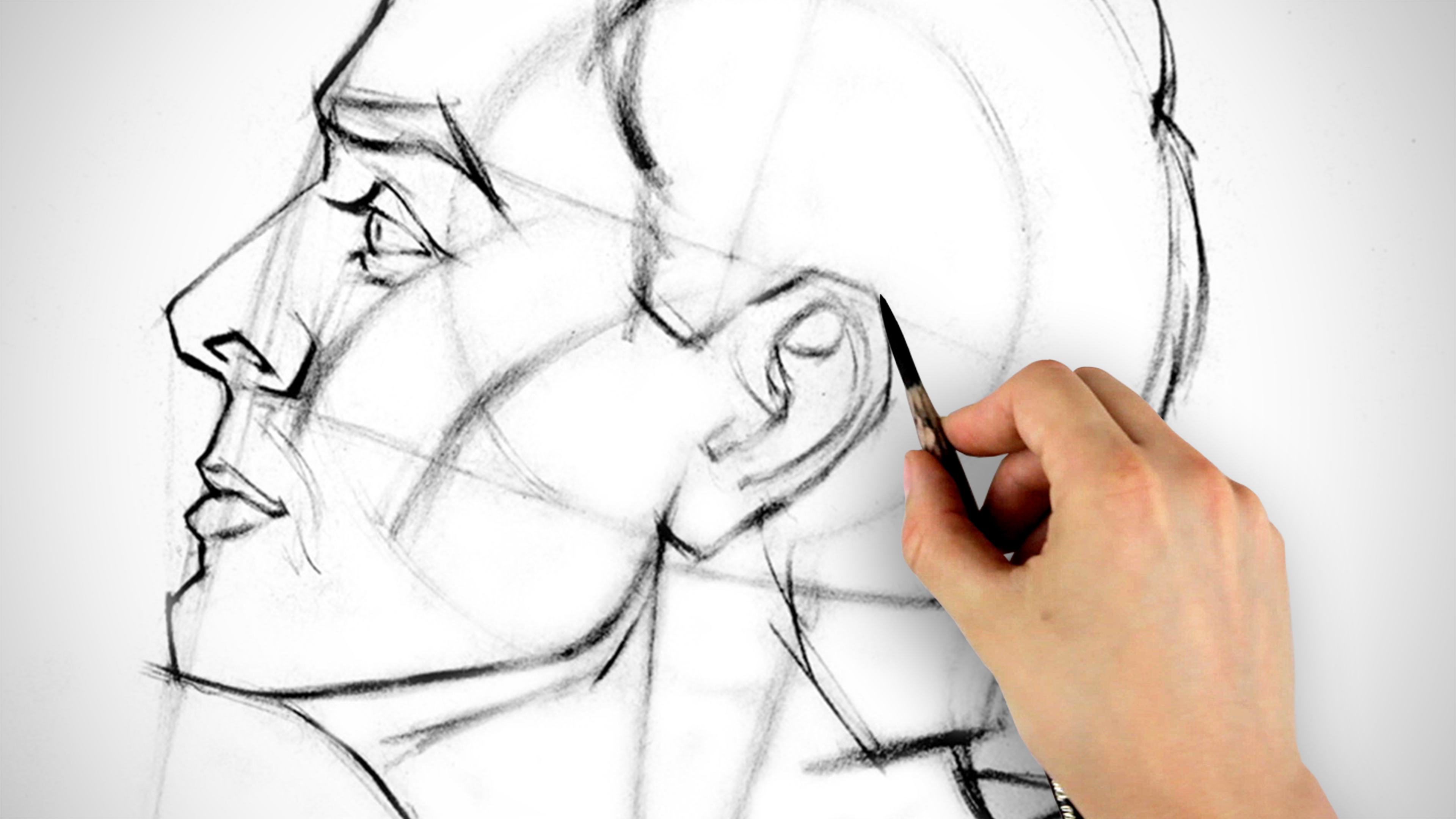 Proko - Loomis Method Side View – Real-Time Demo