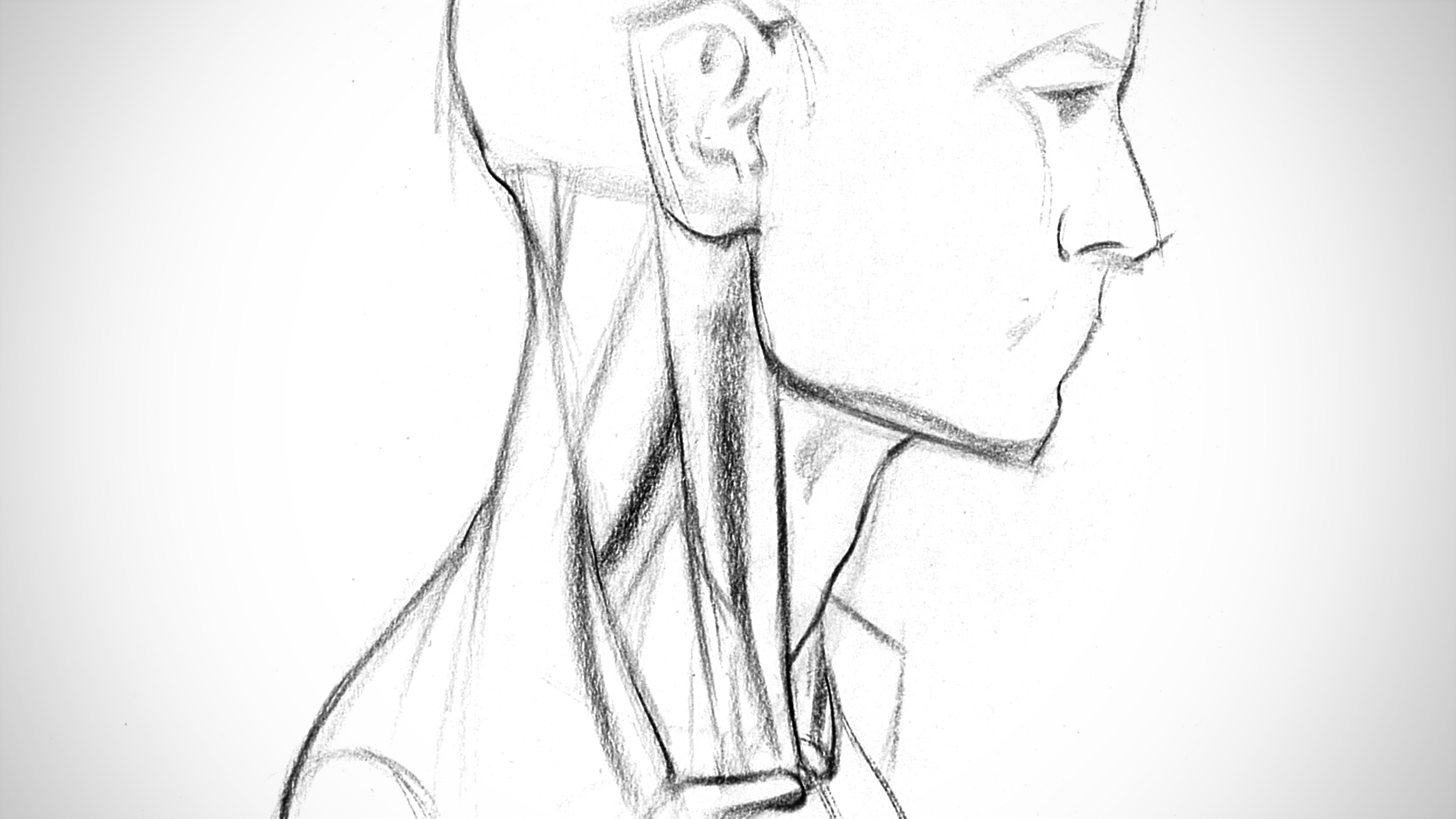 Proko - Neck Assignment Example 5