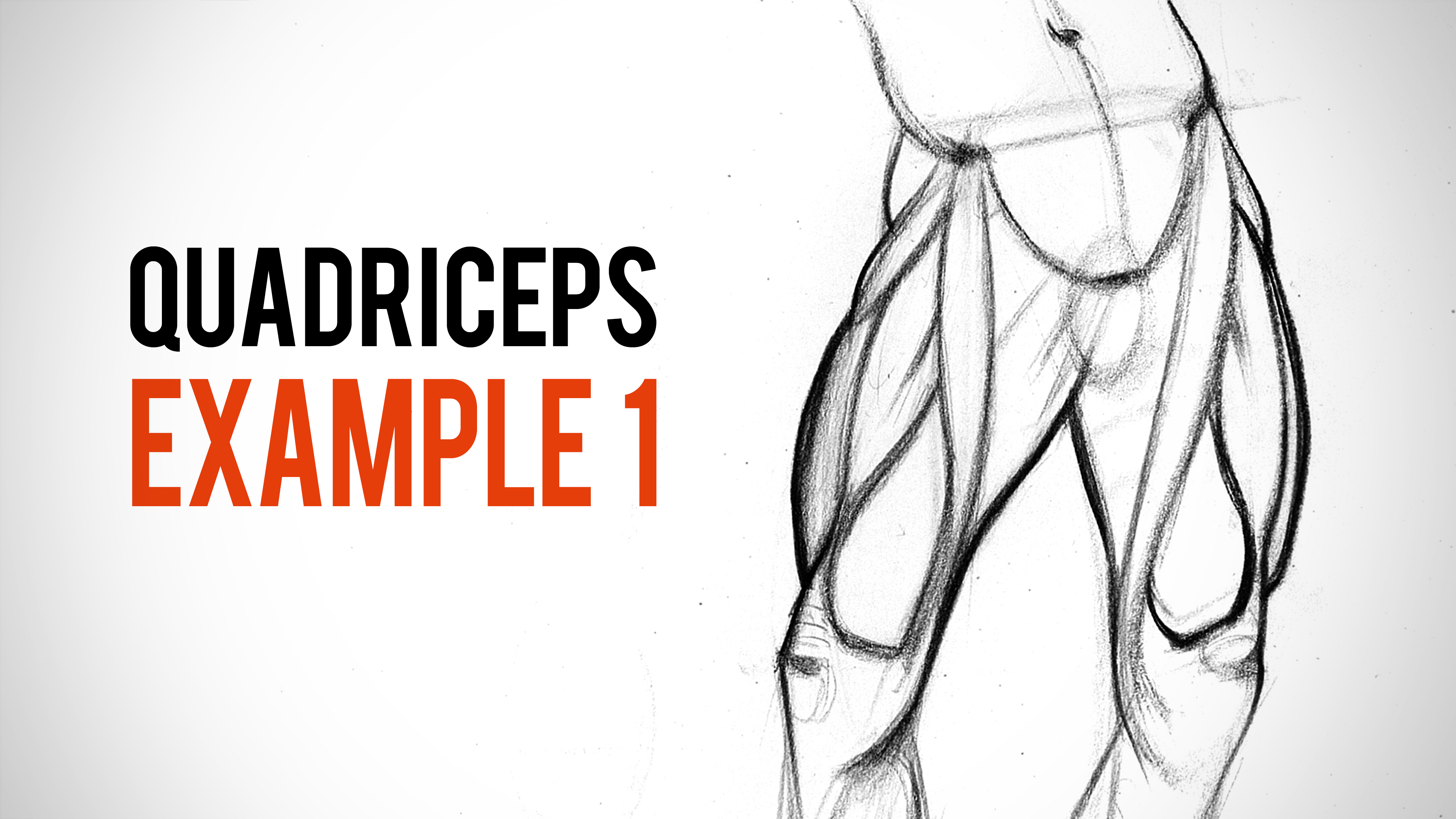 Proko - Quadriceps Assignment Example 1