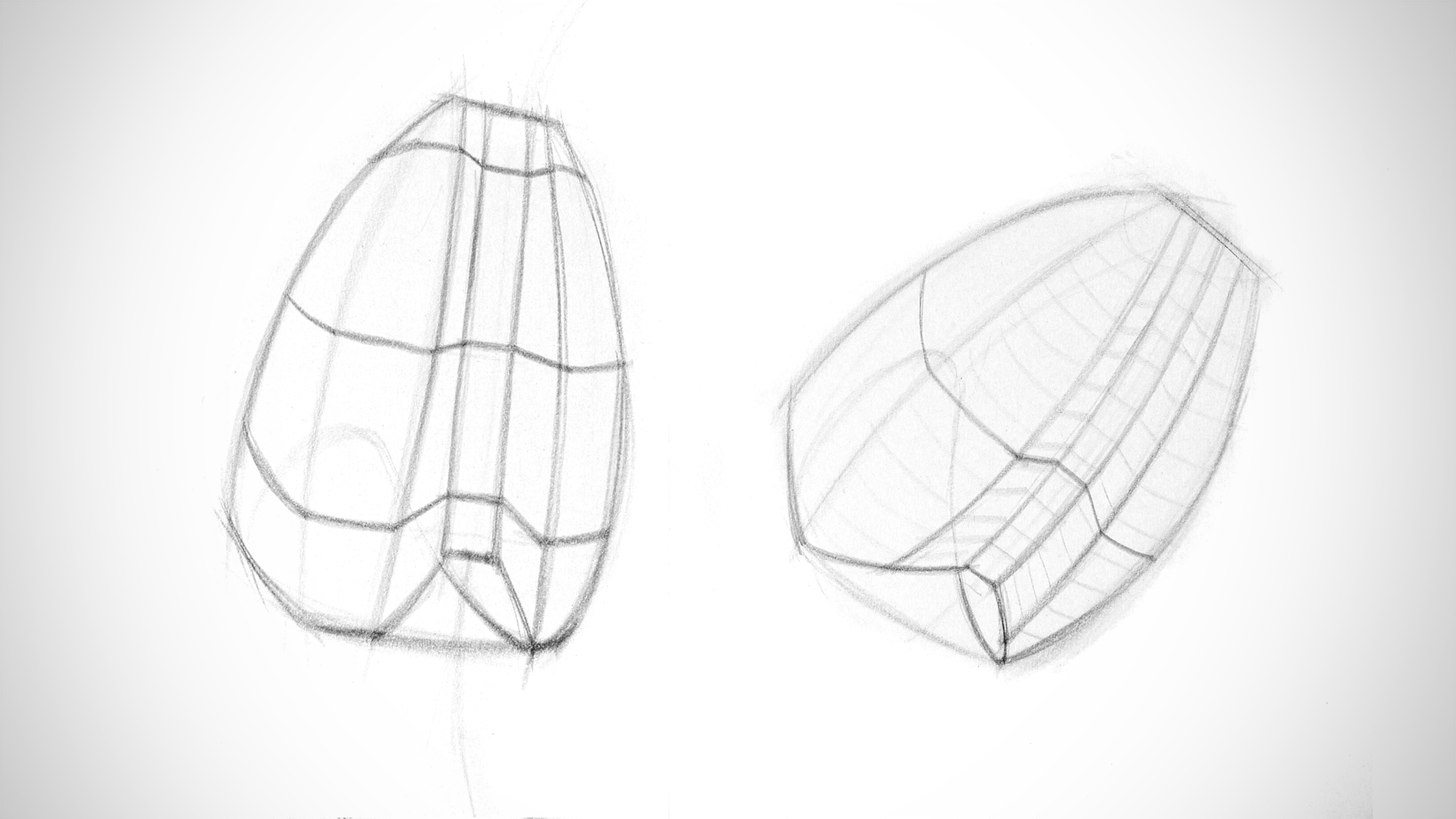 Proko - Rib Cage Assignment Example - Back View