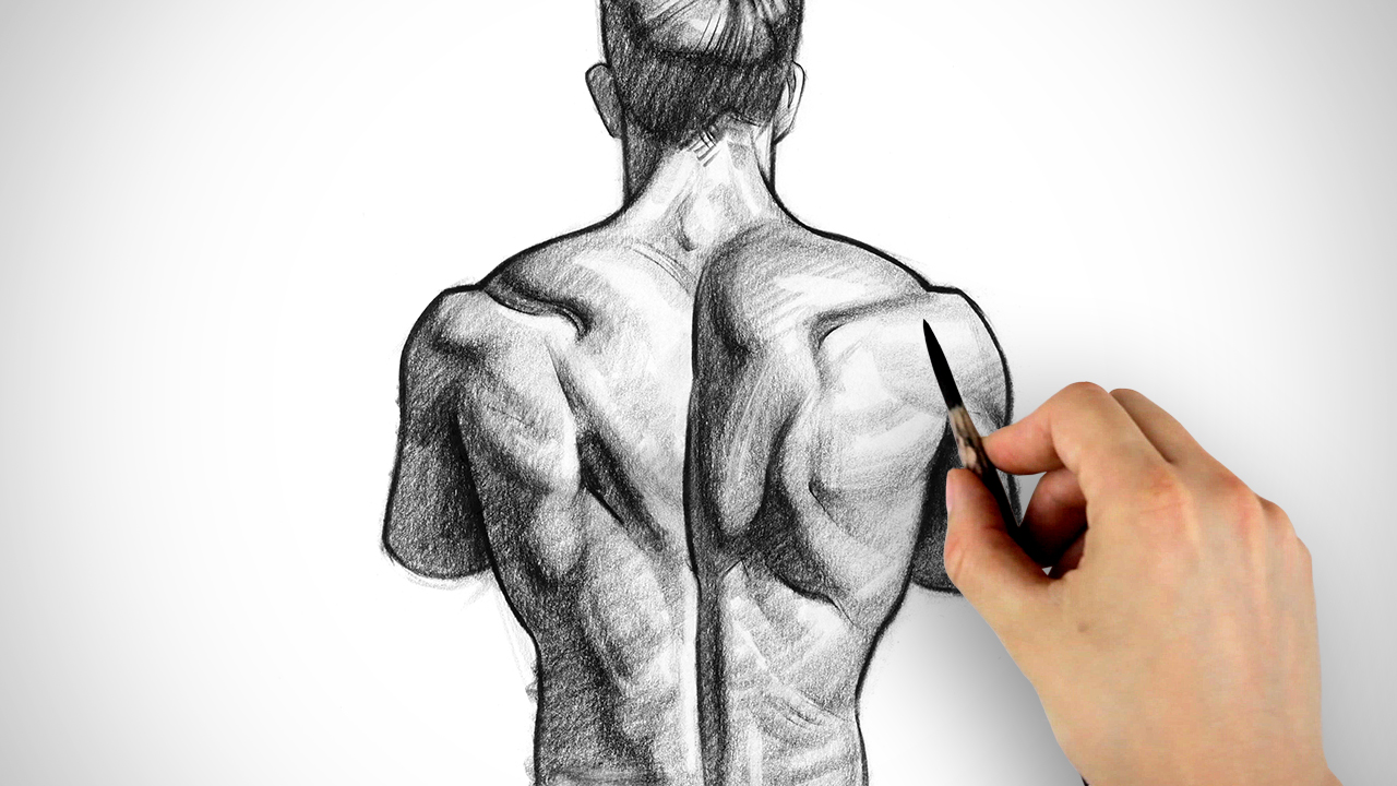 Proko - Shading the Upper Back Example