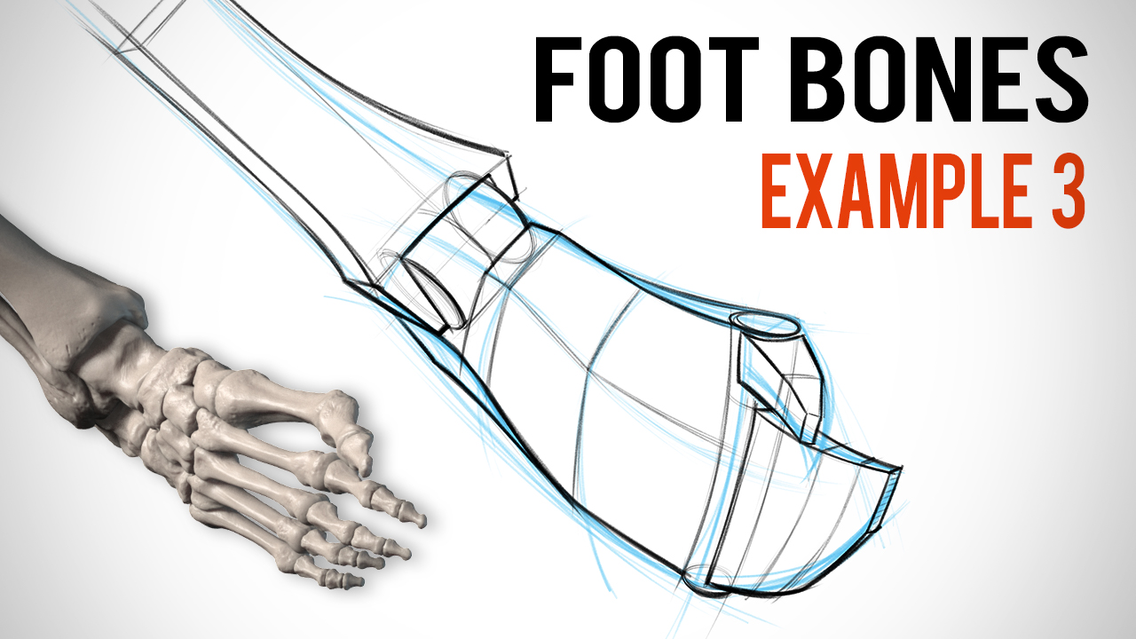 Proko - Foot Bones Assignment Example 3