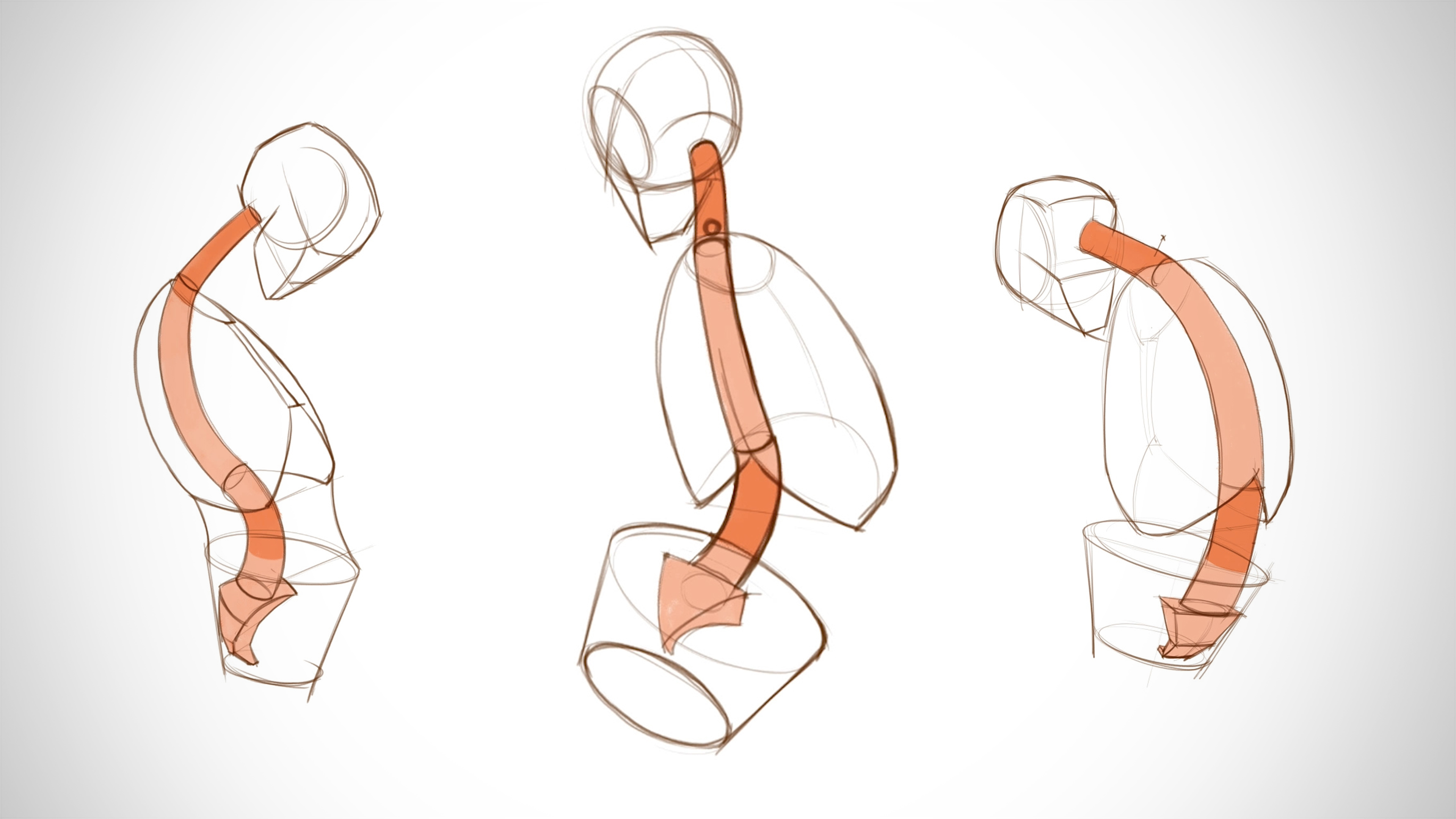 Proko - Spine Assignment Example 7-10 - Trace Models
