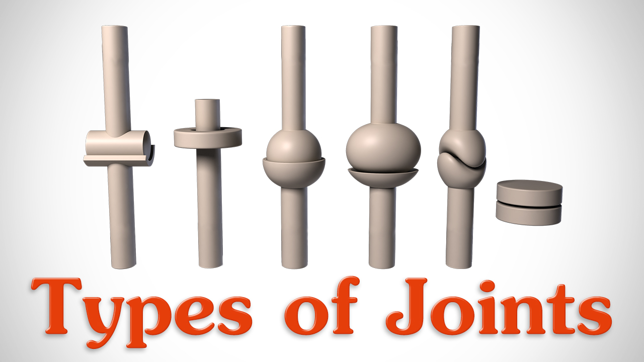 Proko - The 6 Types of Joints