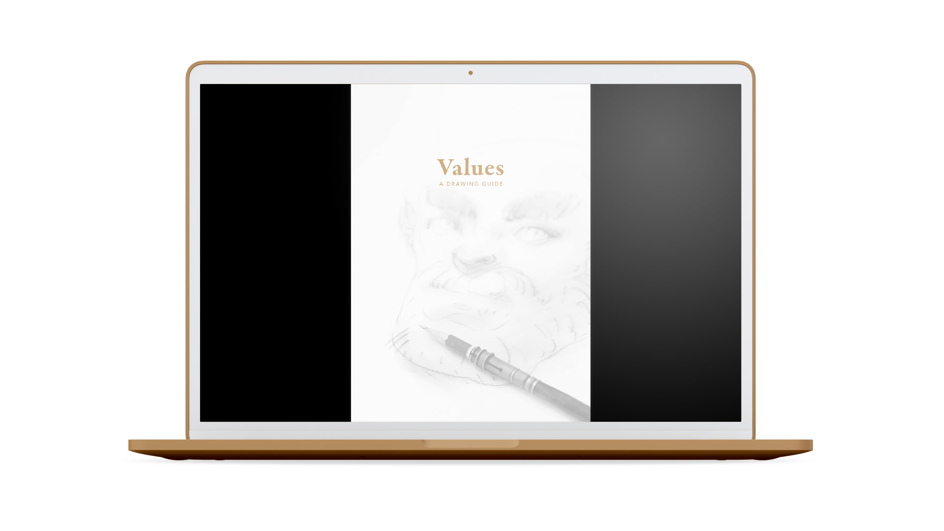 Proko - Values - A Drawing Guide