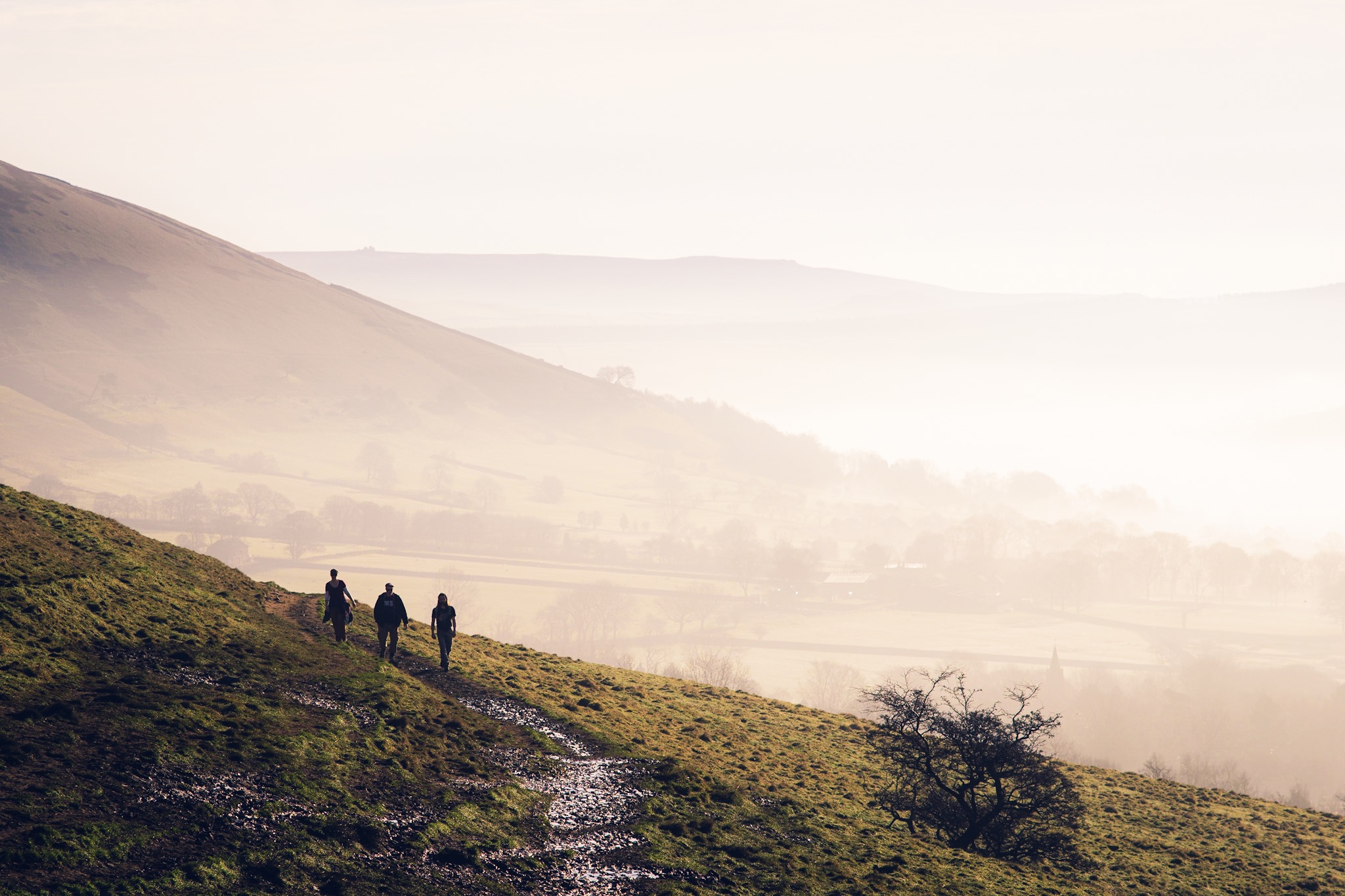 Proko - Brendan Meachen