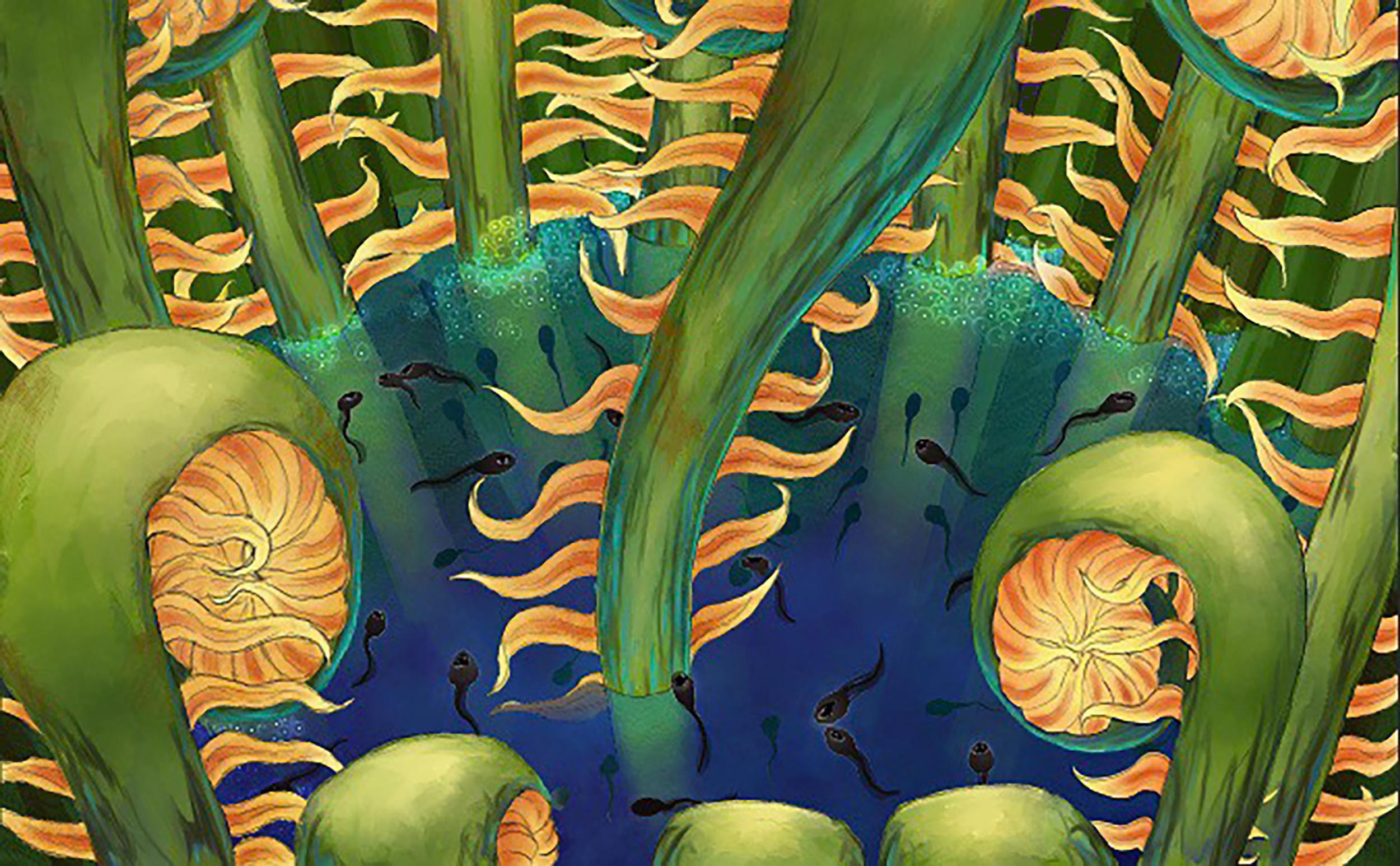 Proko - Emily Waters