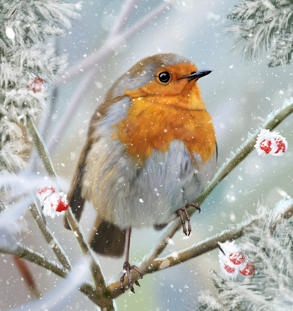 Proko - Sián Faoláin