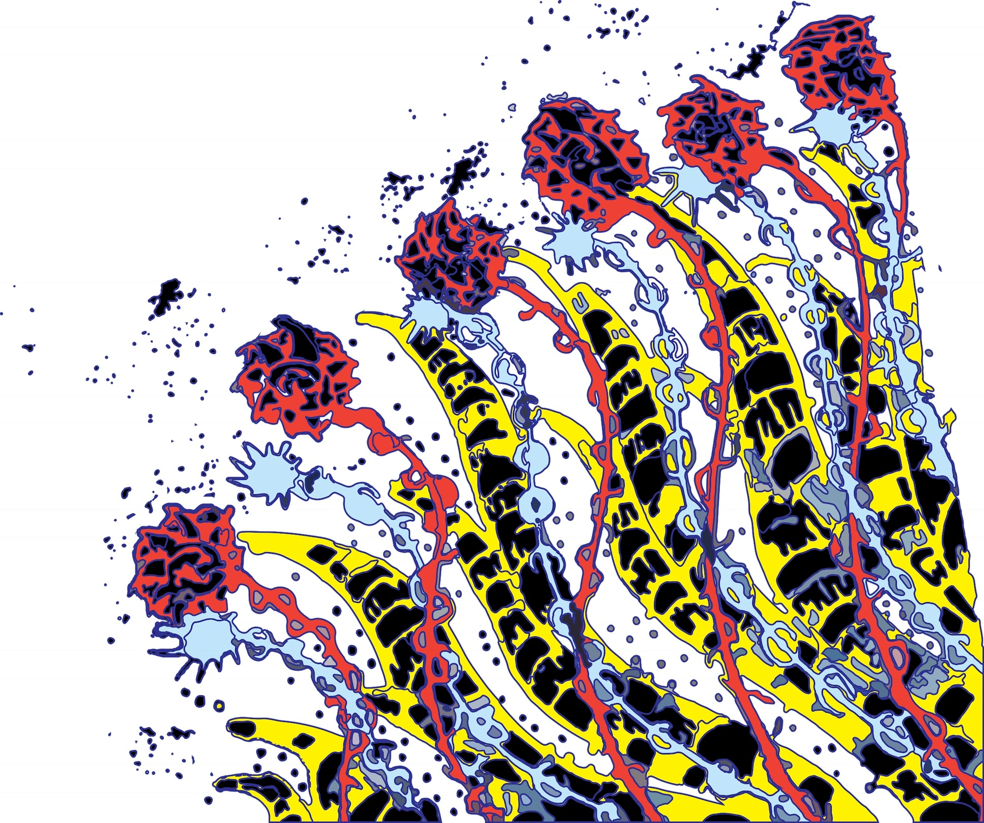 Proko Damion Bartholomew